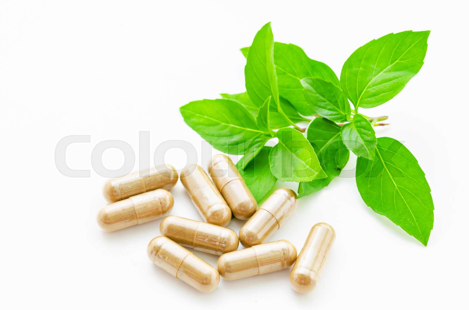 herbal drug capsule | Stock image | Colourbox