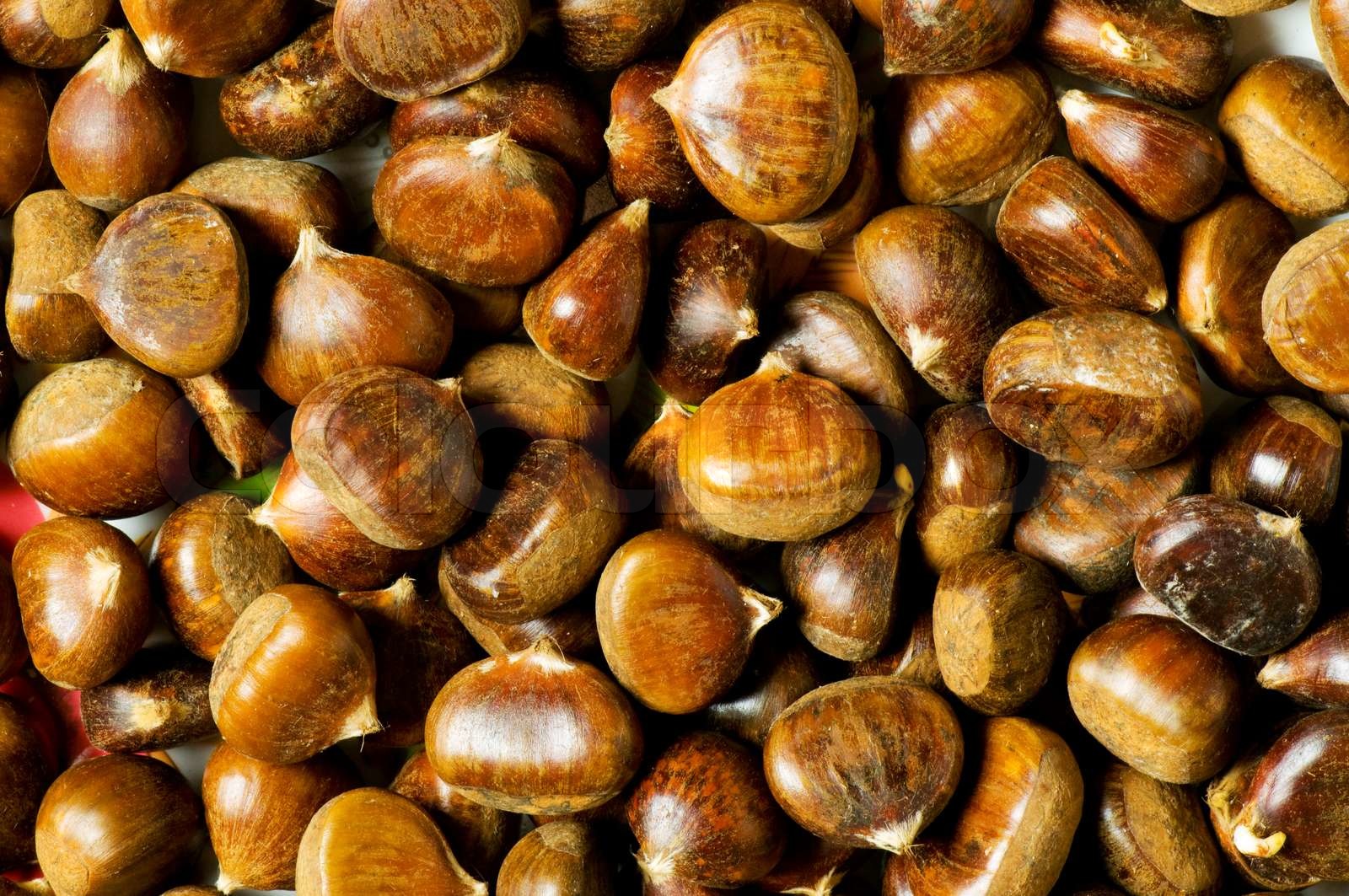 Mange kastanjer anbragt på baggrund | Stock foto | Colourbox