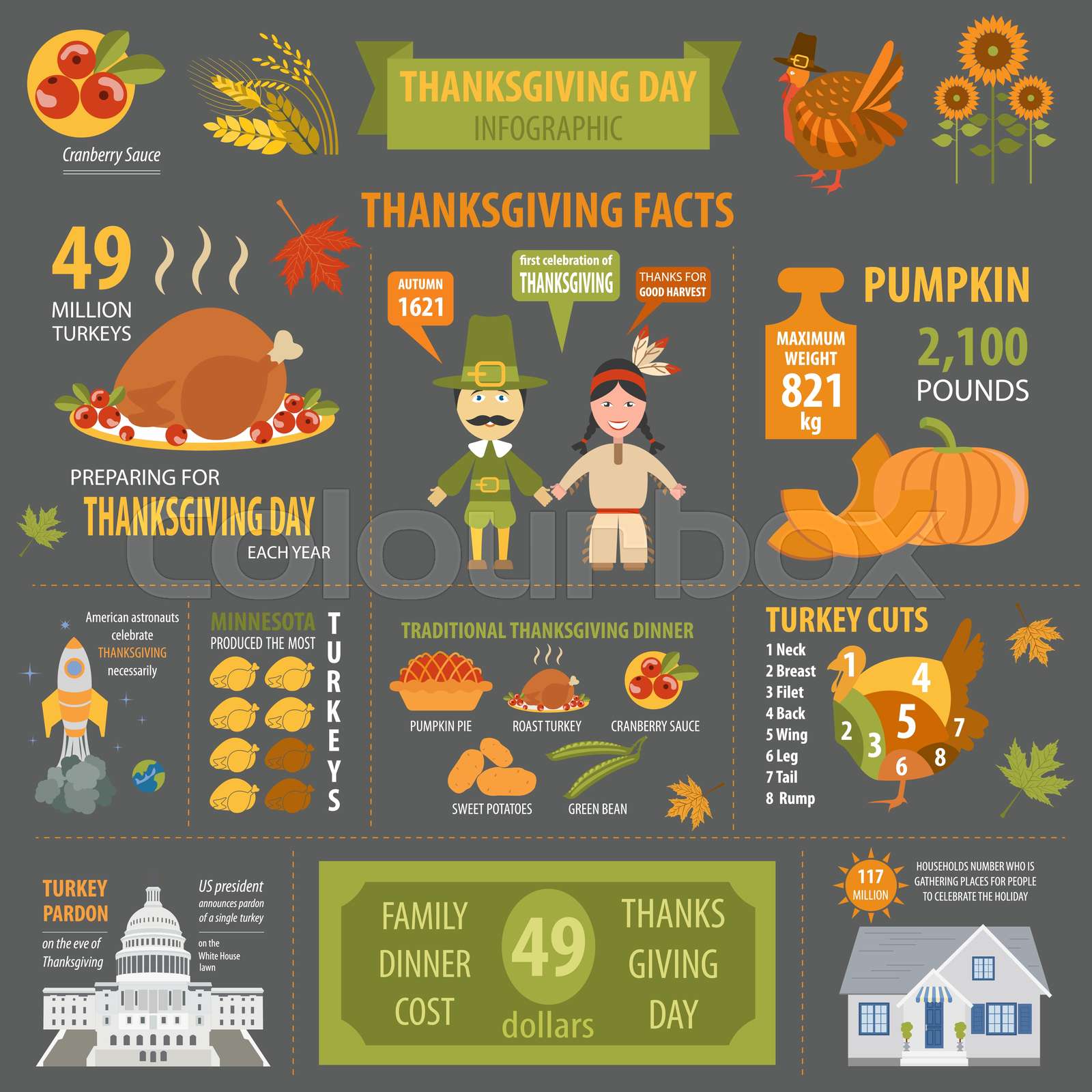 Thanksgiving day, interesting facts in infographic. Graphic template ...