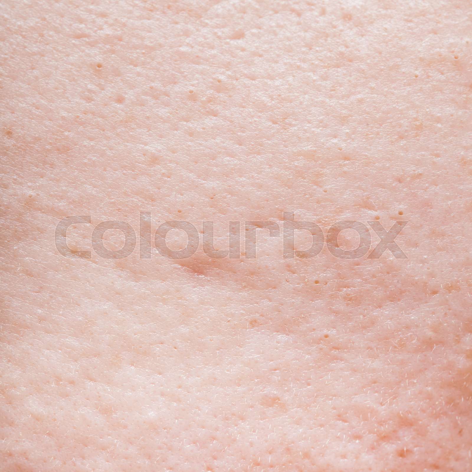 Human face skin texture | Stock image | Colourbox