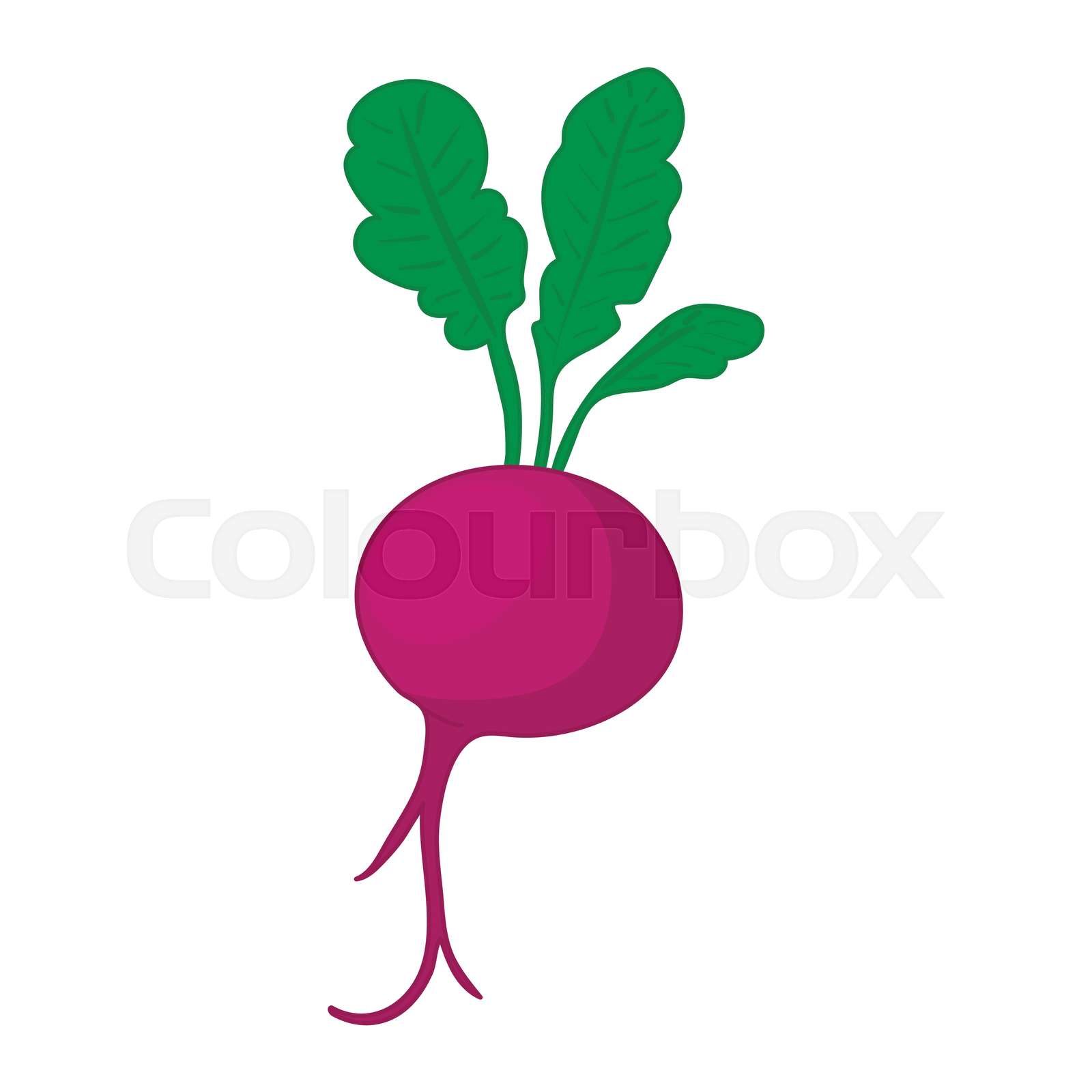 rotrübe, wurzel, cartoon | Stock-Vektor | Colourbox