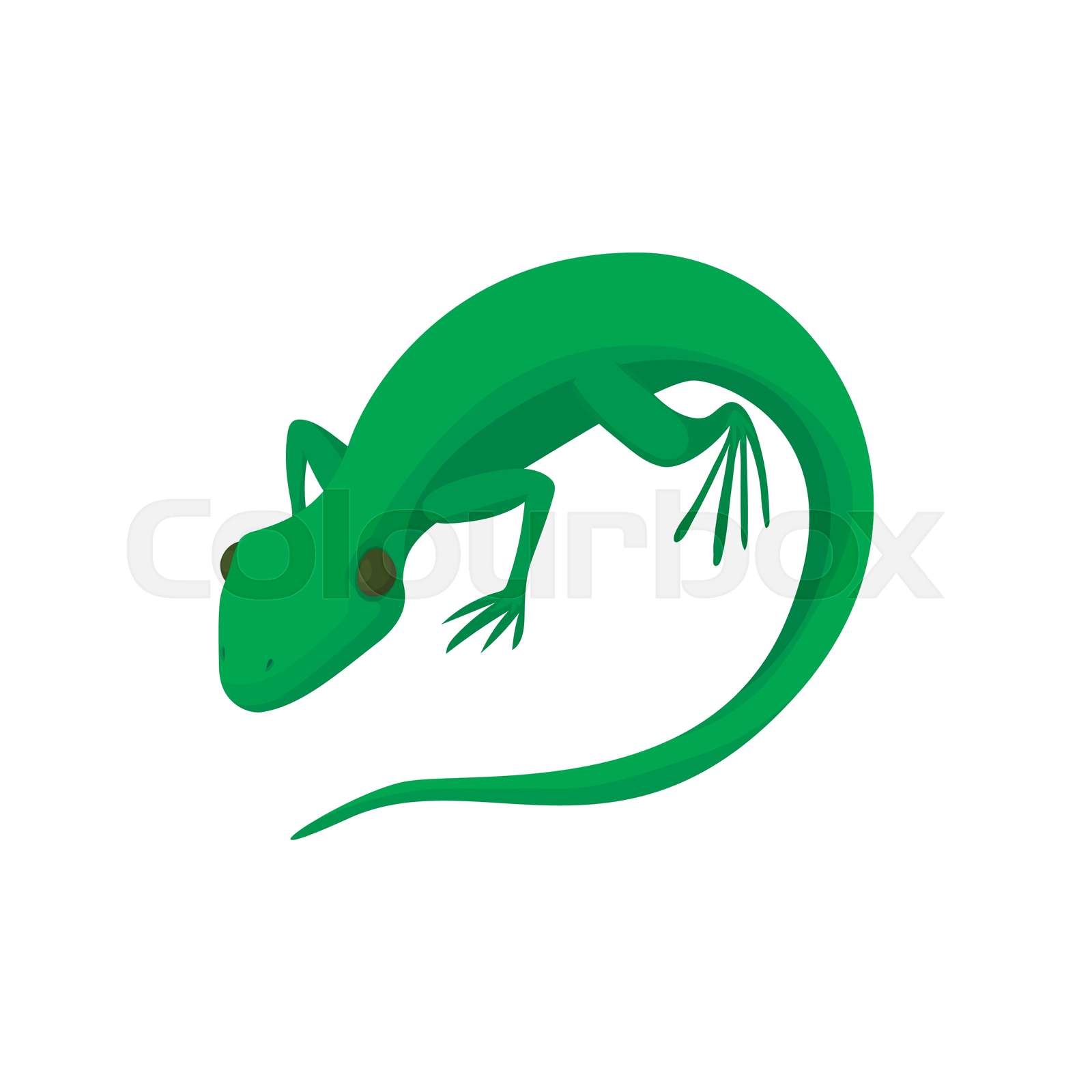 eidechse, gecko, icon | Stock-Vektor | Colourbox