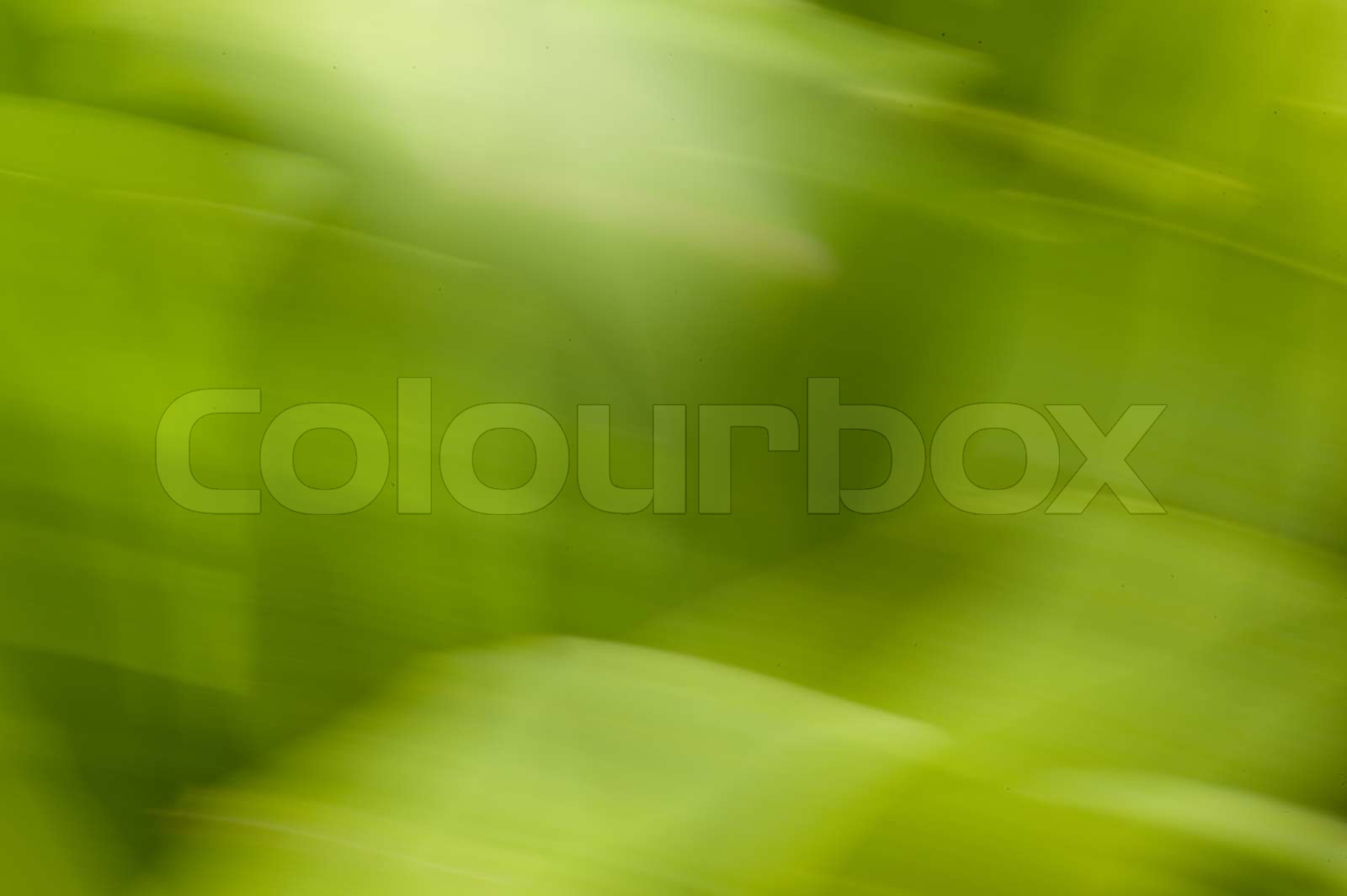 Grass photographed with moving camera | Stock image | Colourbox