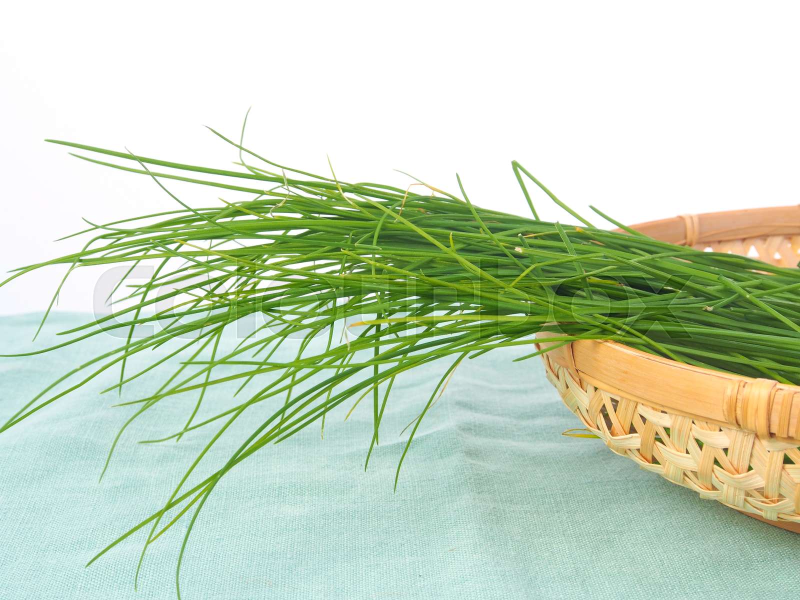 Asian Chive vegetable | Stock image | Colourbox