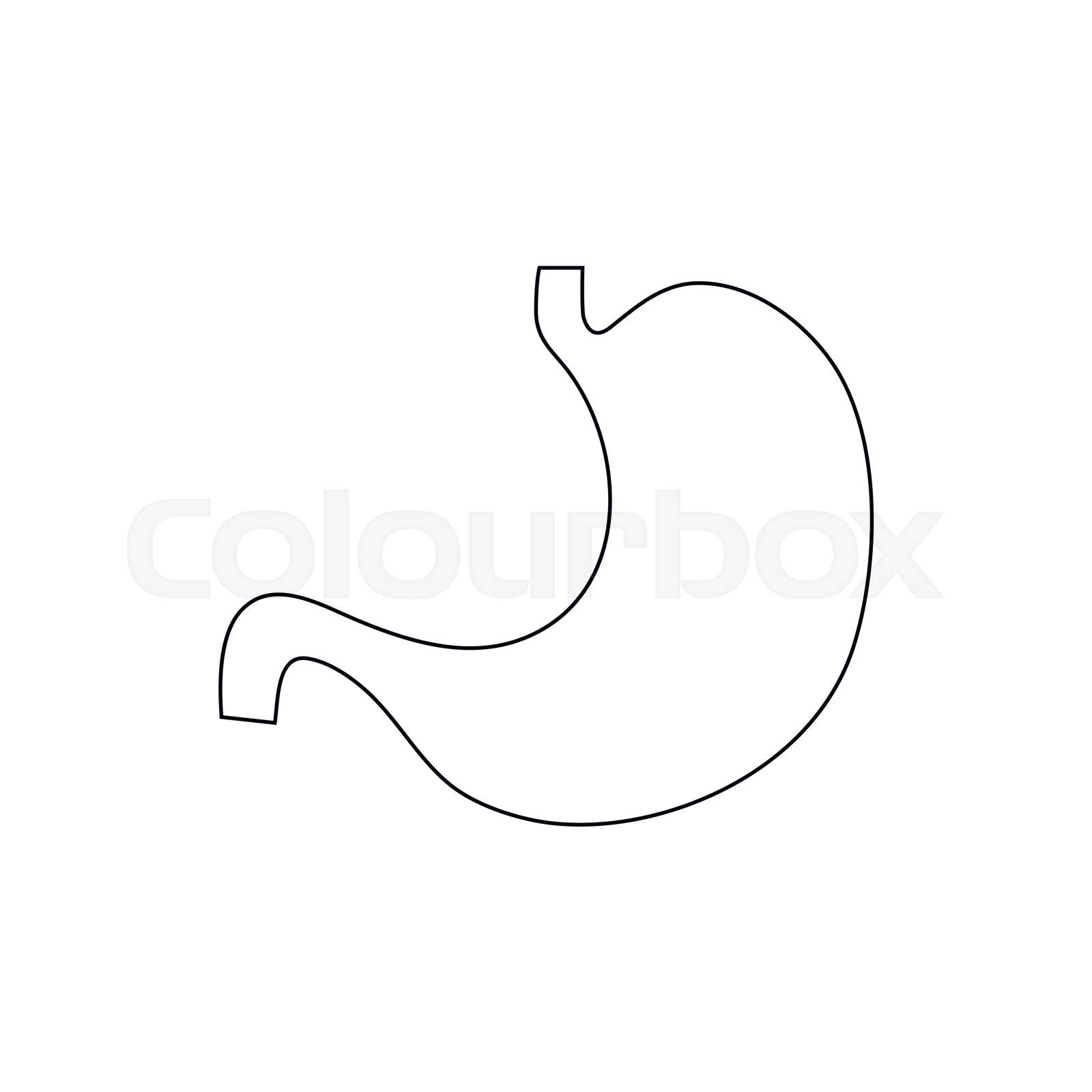 Human stomach icon, outline style | Stock vector | Colourbox