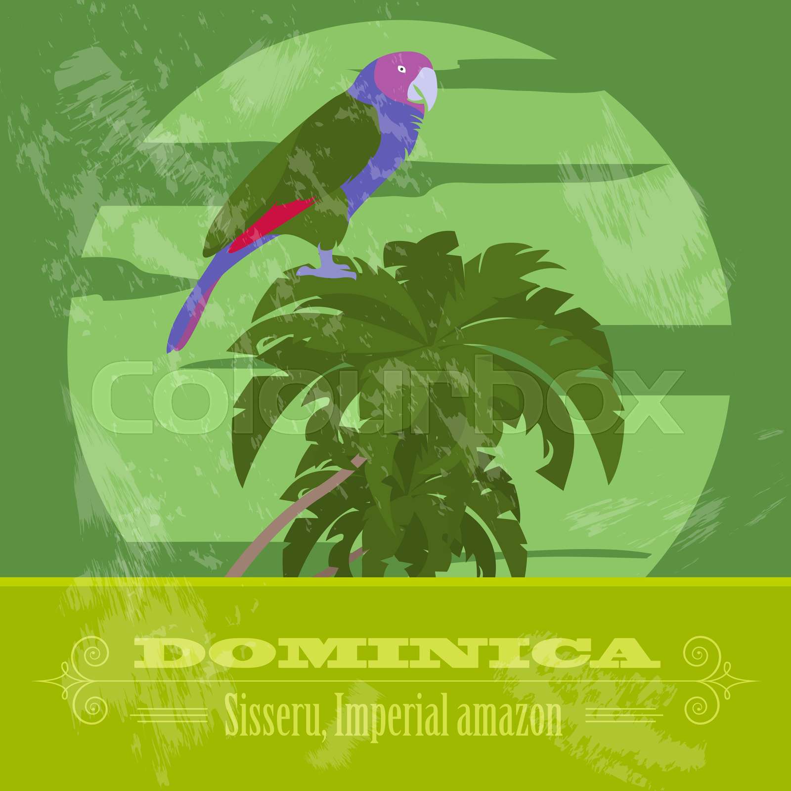 Dominica national symbols. Sisseru parrot, Imperial amazon. Retro ...