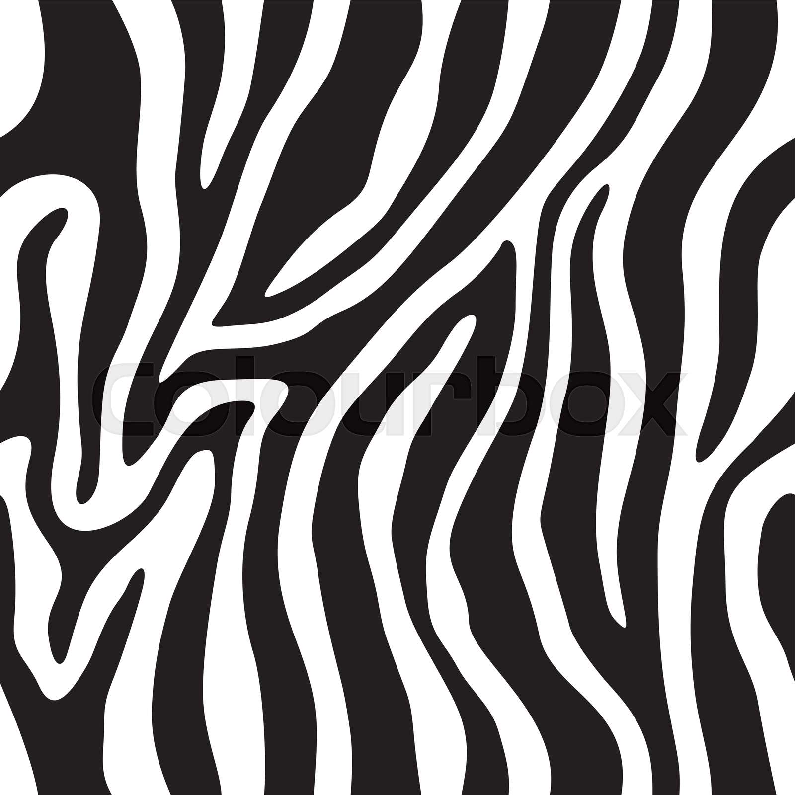 Zebra Pattern | Stock vector | Colourbox