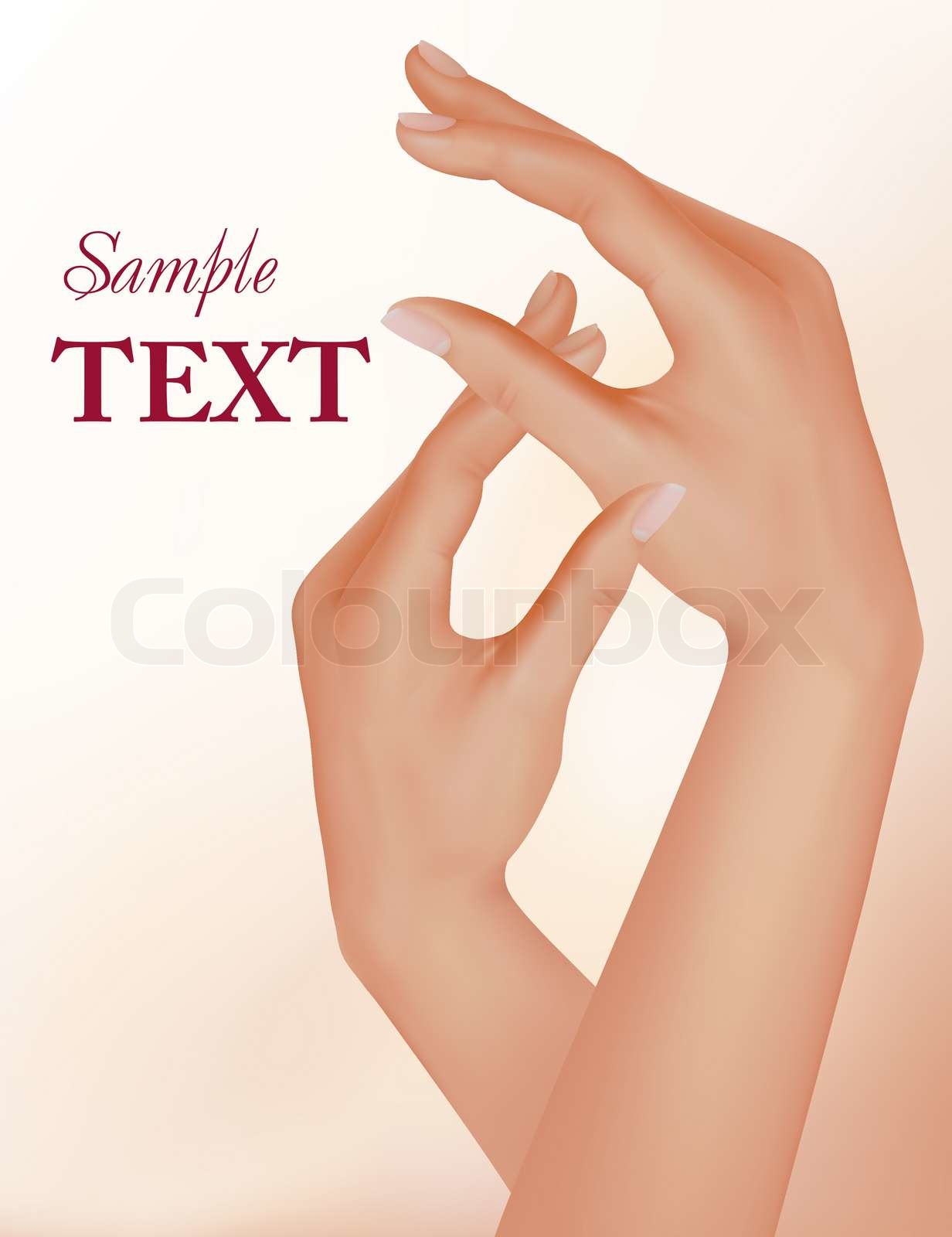 Beautiful woman hands. Vector. | Stock vector | Colourbox
