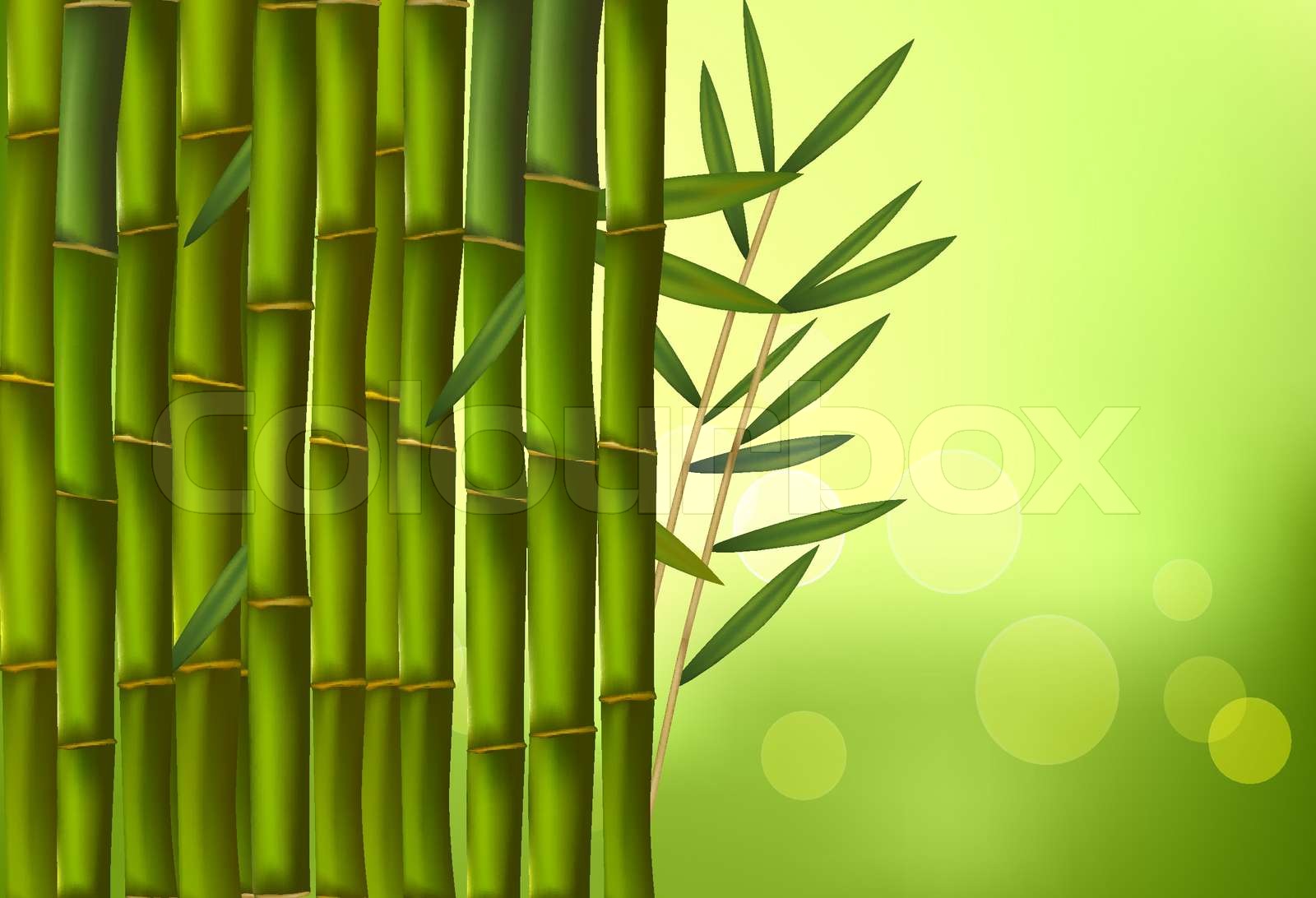 Beautiful bamboo border. Vector illustration. | Stock vector | Colourbox
