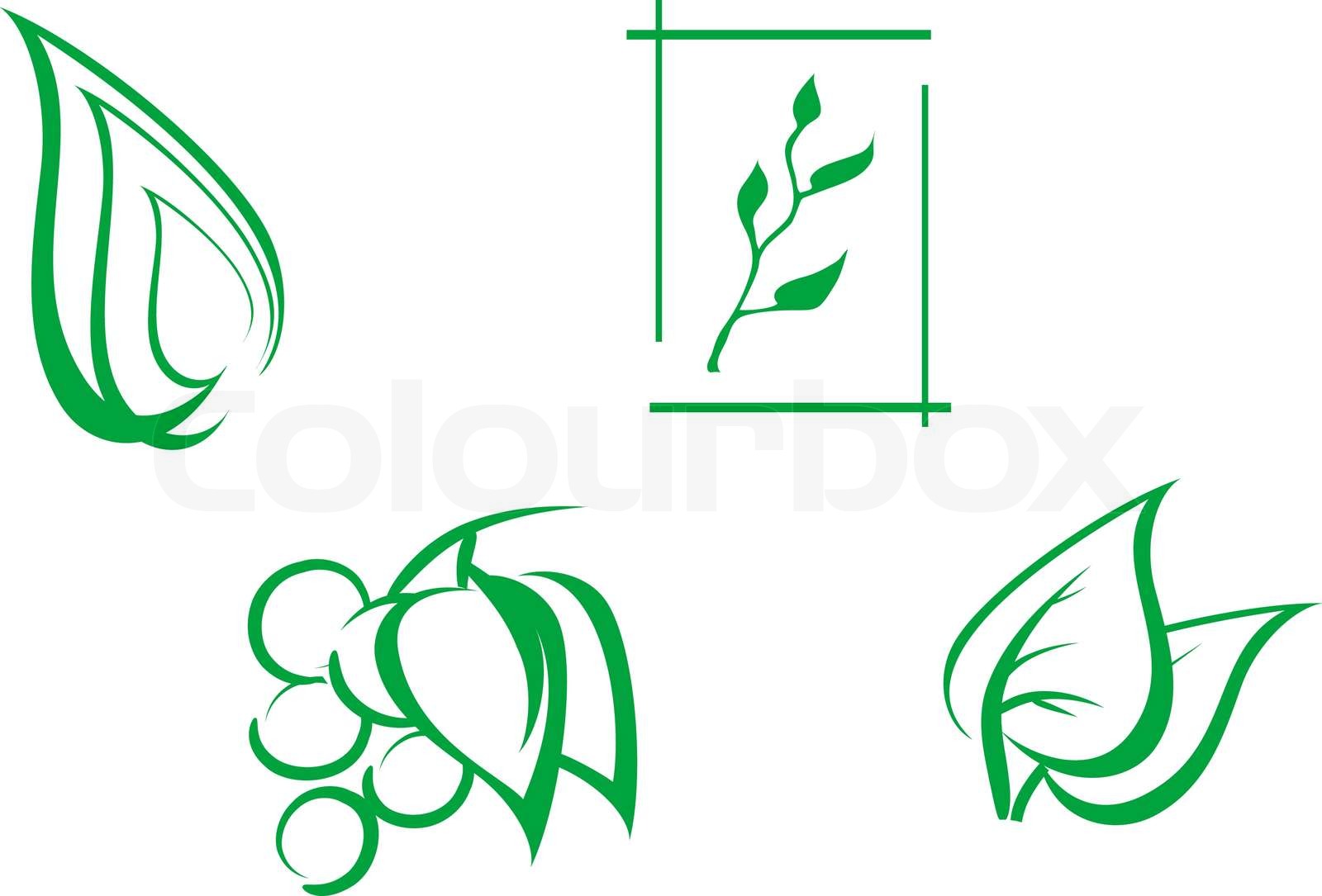 Set of leaves symbols as a nature emblems | Stock vector | Colourbox