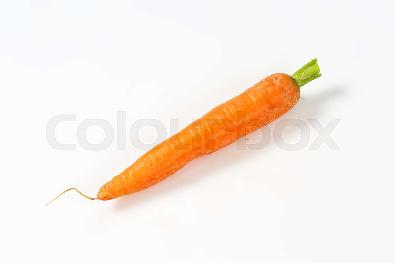fresh long carrot | Stock image | Colourbox