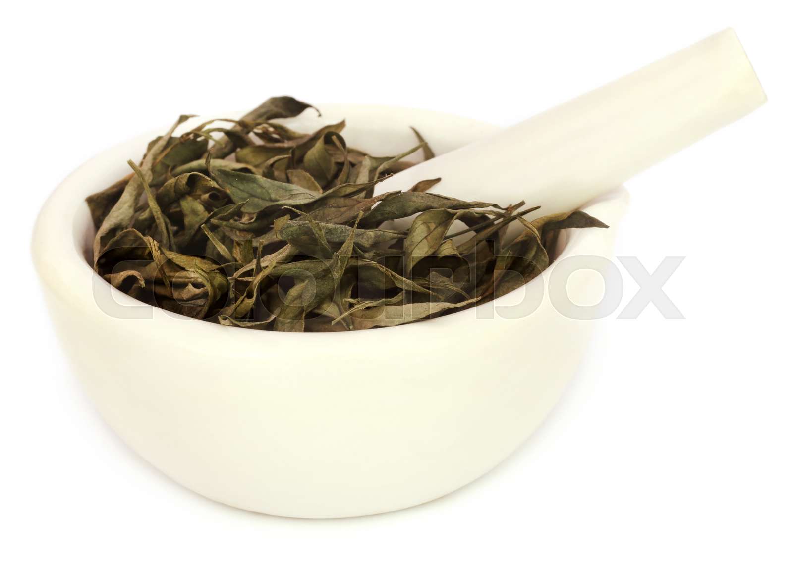 Ayurvedic medicinal Chirata | Stock image | Colourbox