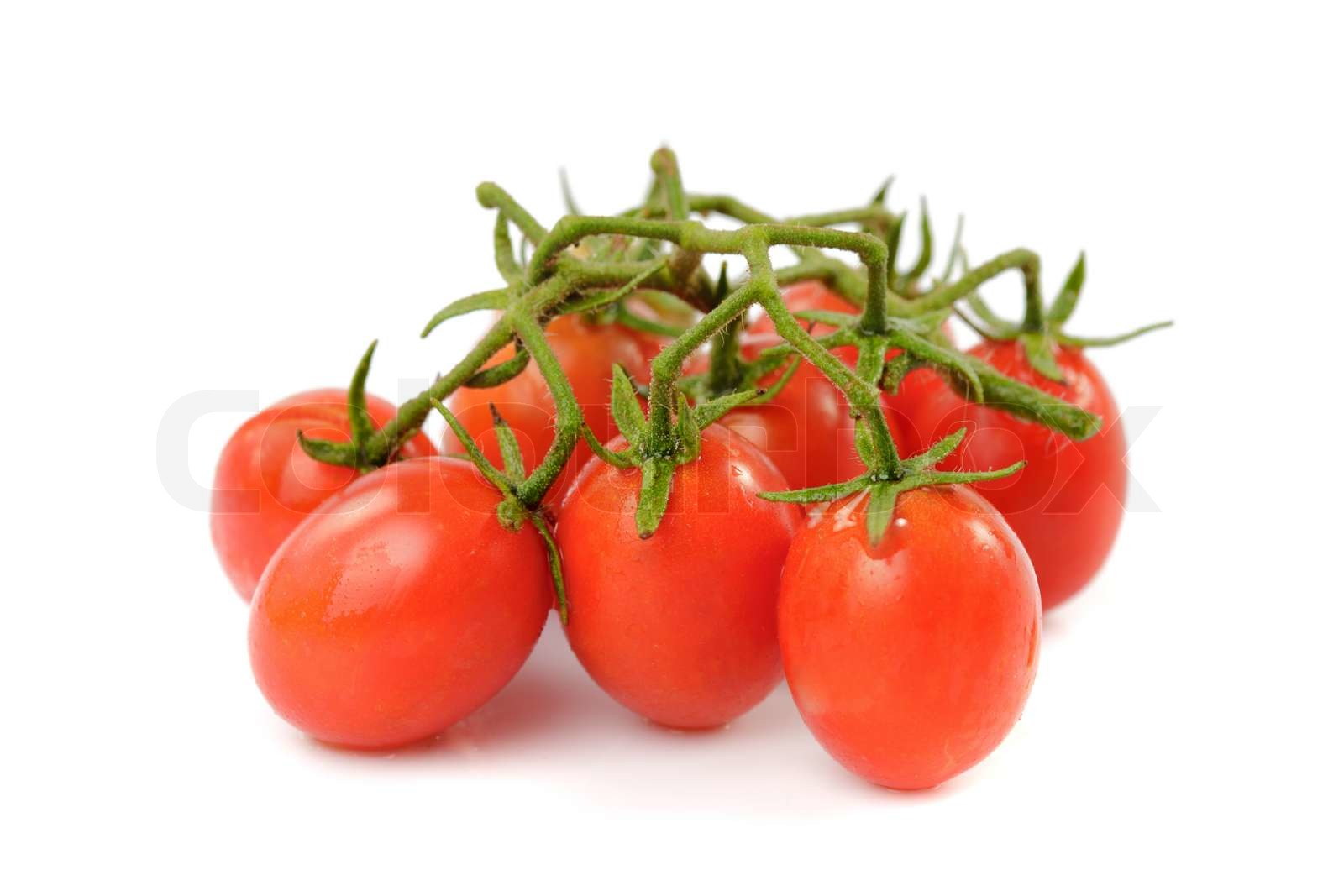 Kirschtomaten am Zweig isoliert auf weißem Hintergrund | Stock Bild ...
