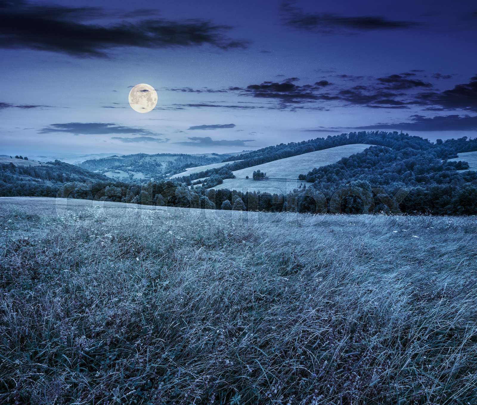 rural field near forest at hillside at night | Stock image | Colourbox