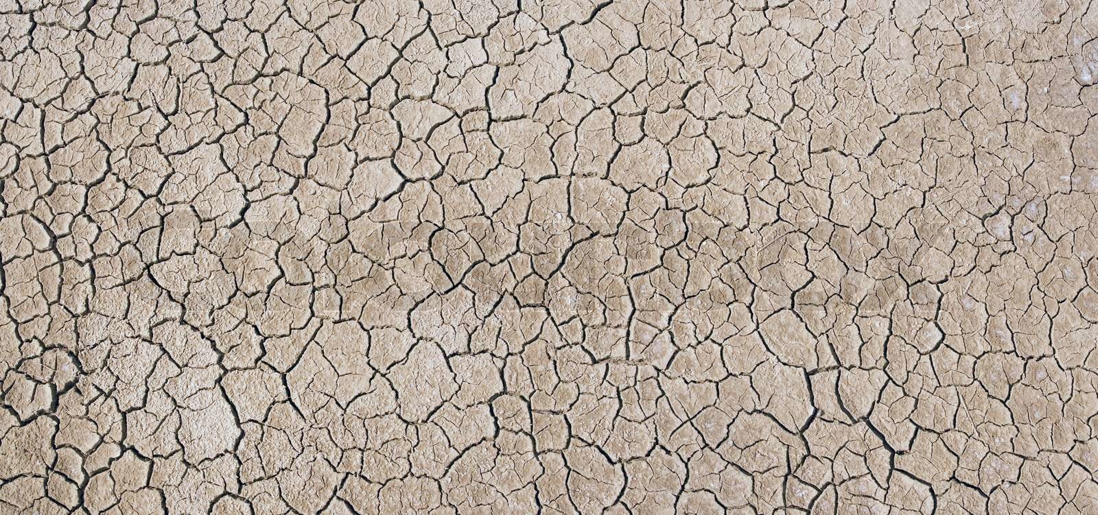 Foto von einem trockenen rissigen Boden | Stock Bild | Colourbox