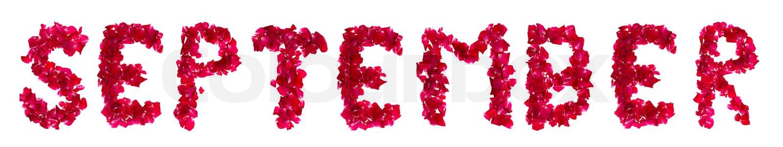 Pink rose petals forming word September on white | Stock image | Colourbox