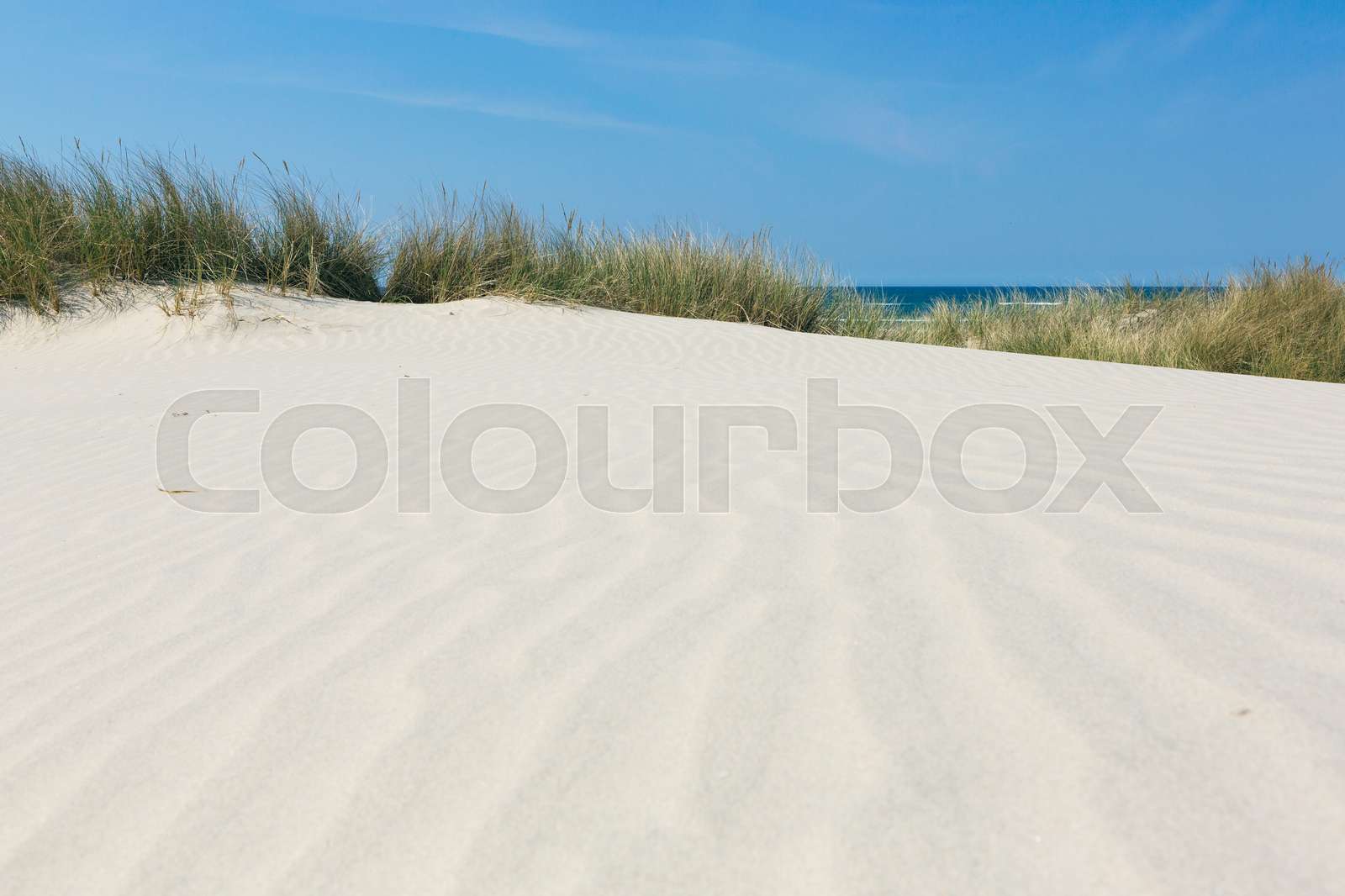 Beach and sand dunes and sea | Stock image | Colourbox