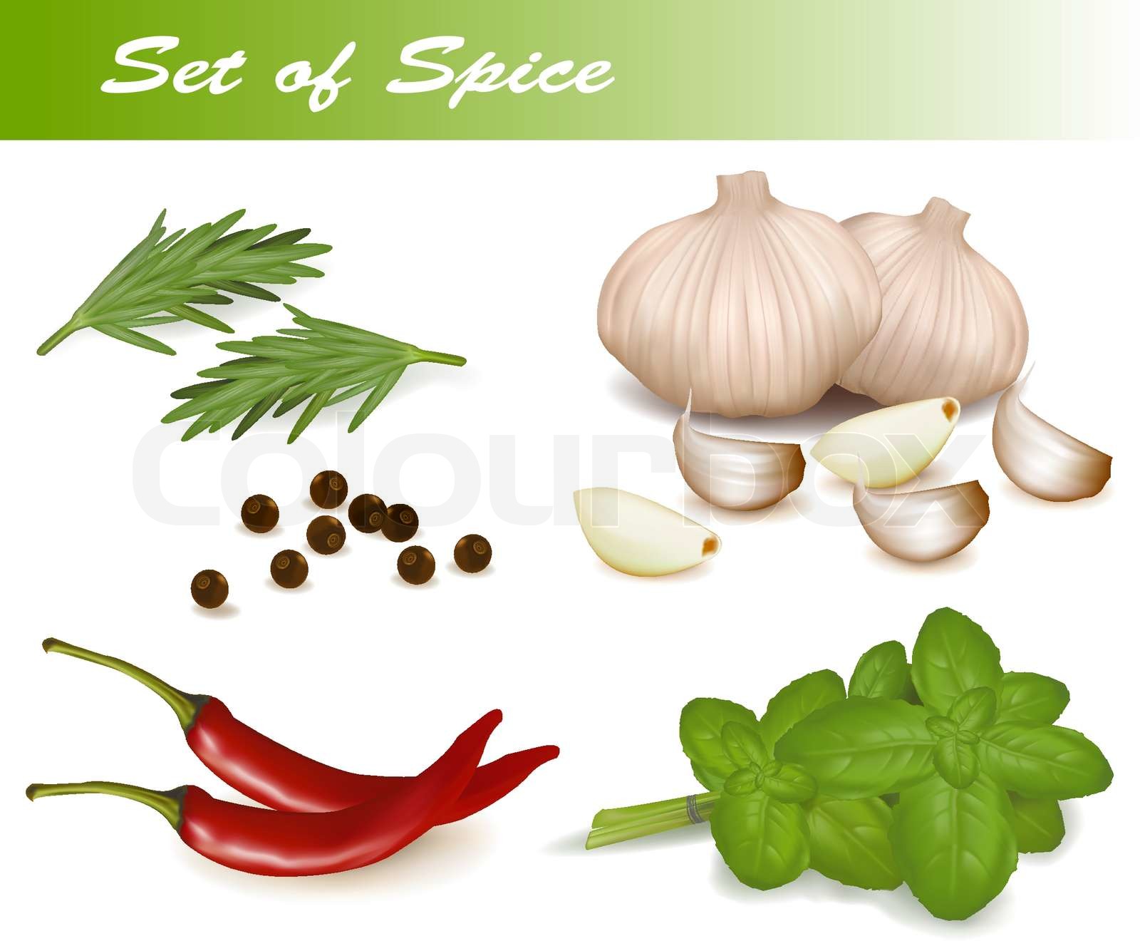Set with spices. Vector illustration. | Stock vector | Colourbox