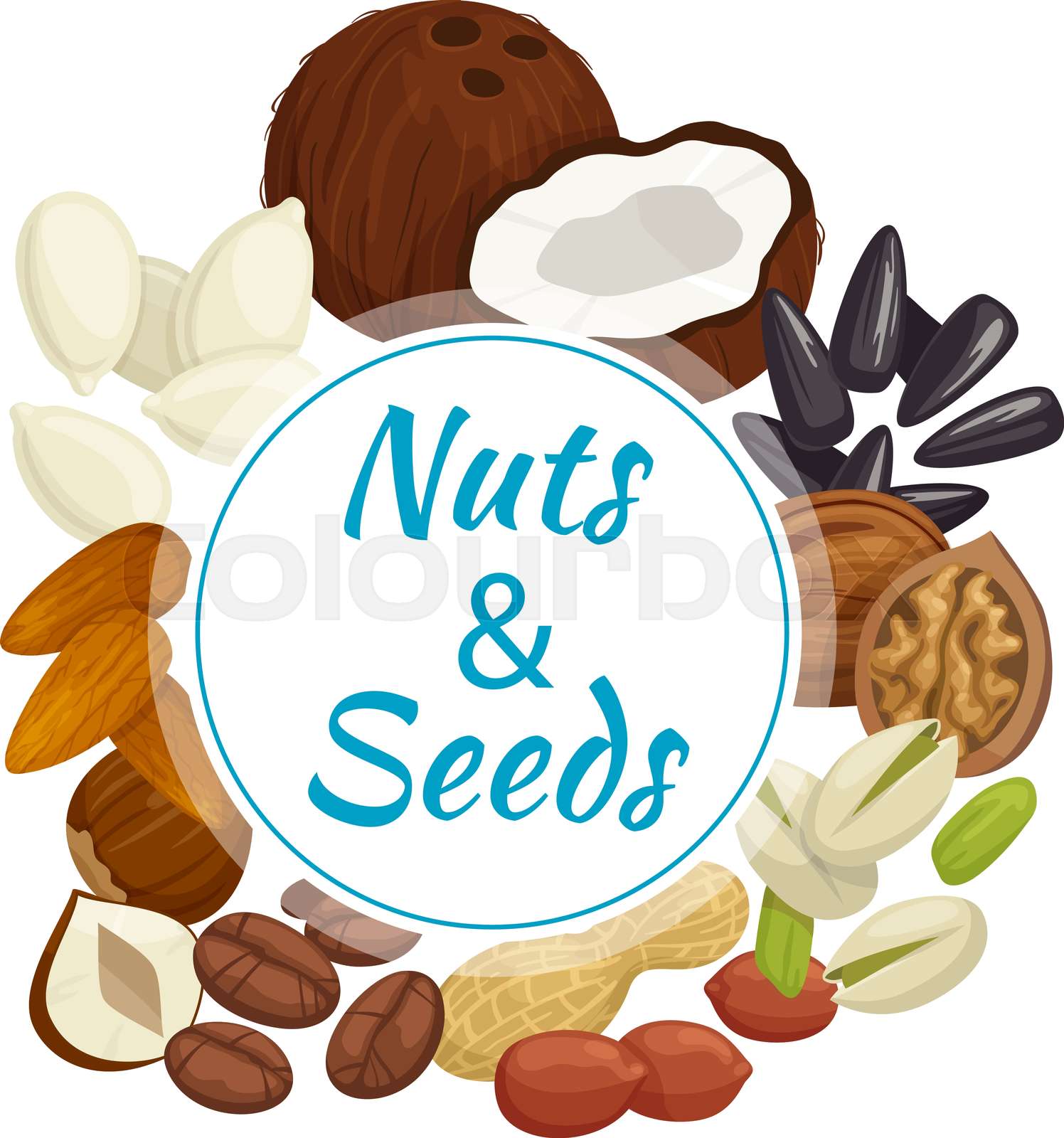 logo, nuss, background | Stock-Vektor | Colourbox