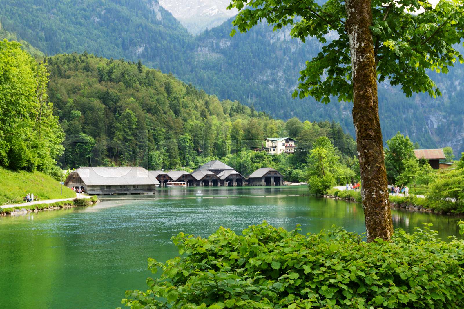 Lake Konigsee in Bavarian Alps. | Stock image | Colourbox