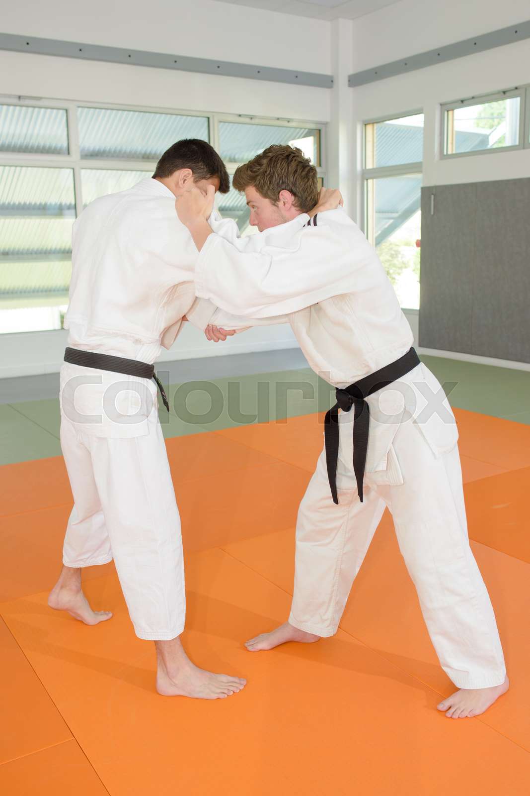 grappling | Stock image | Colourbox