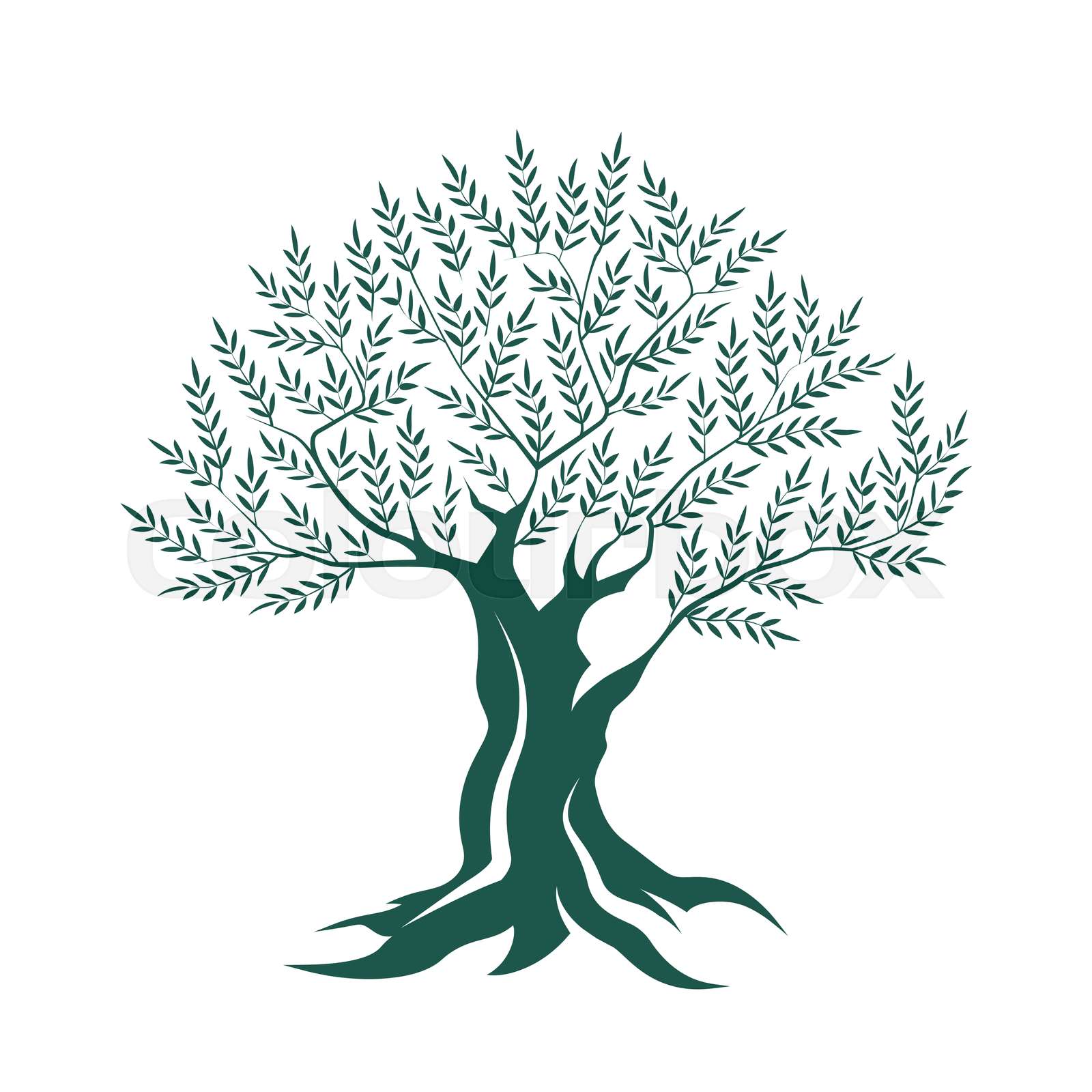 Olive tree silhouette icon on white background | Stock vector | Colourbox