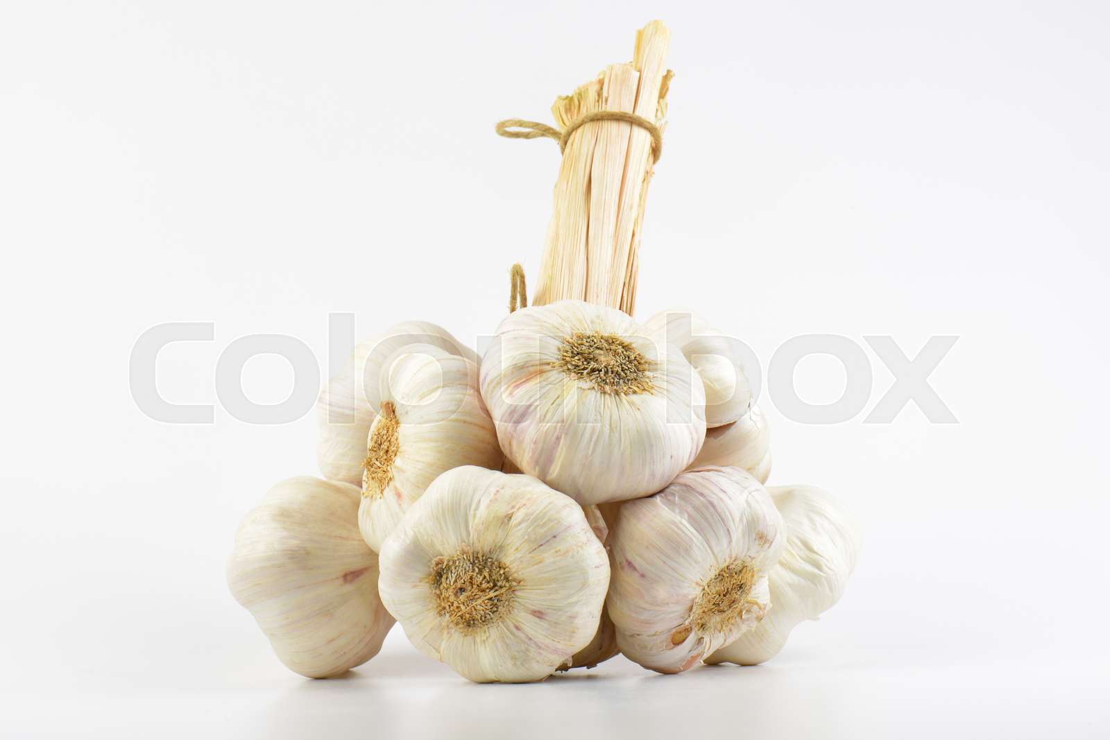 bunch of garlic heads | Stock image | Colourbox
