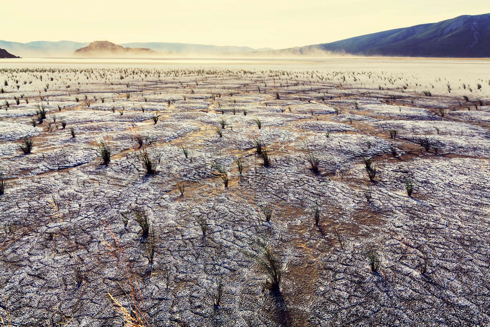 Drought land | Stock image | Colourbox