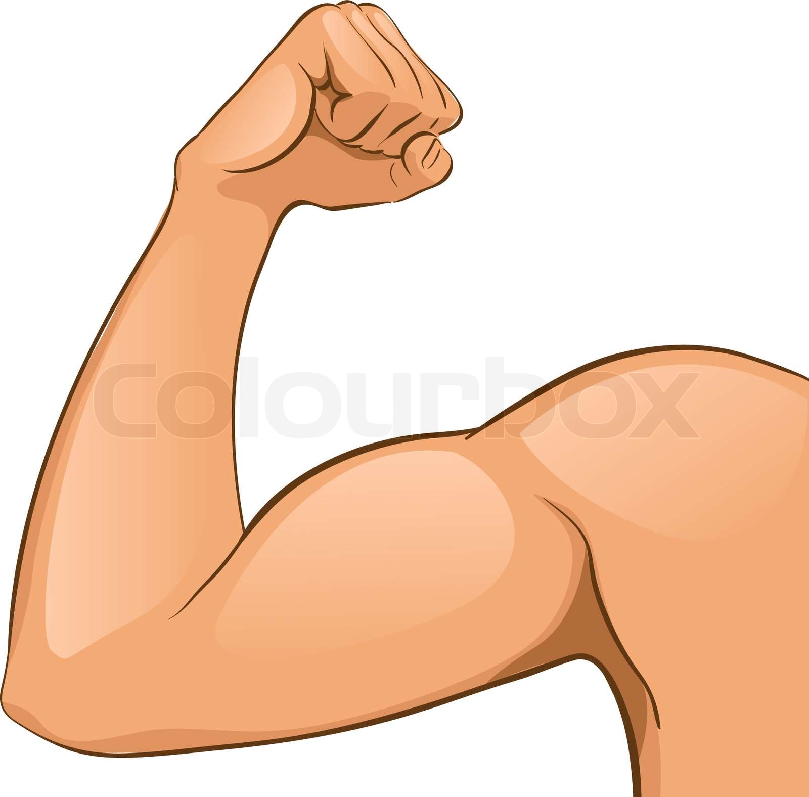 Man's Arm muscles. Vector Illustration. Helthcare. Abstract. | Stock ...