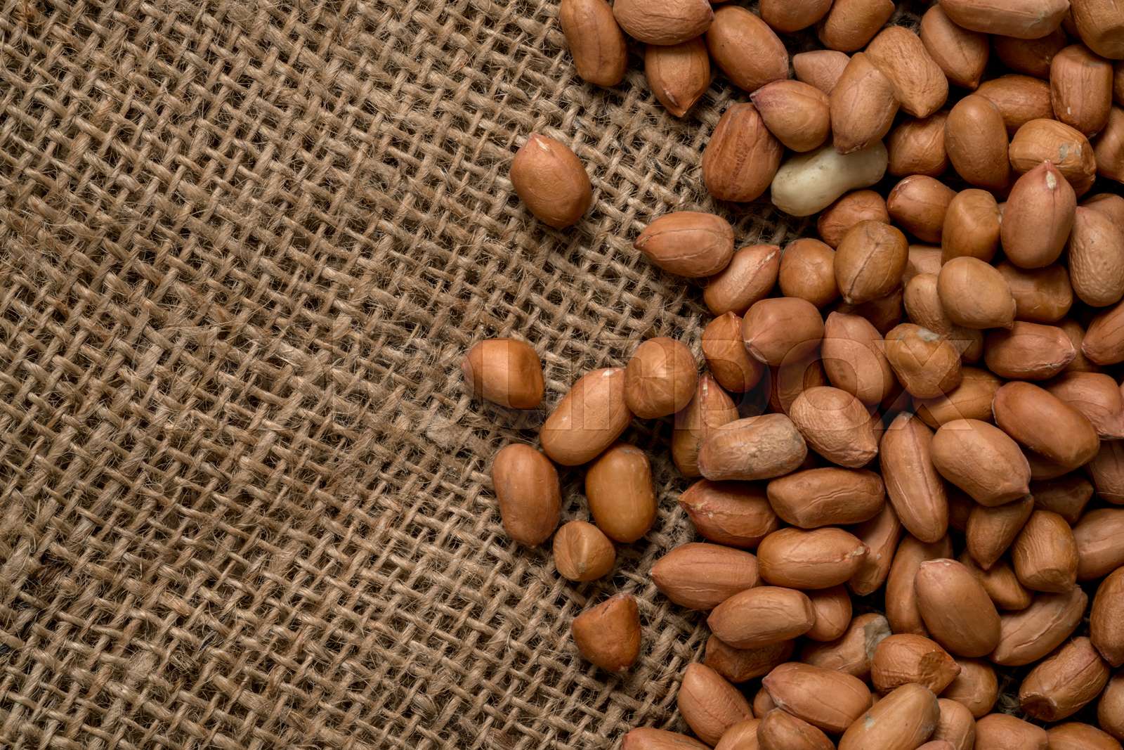 Peanuts | Stock image | Colourbox