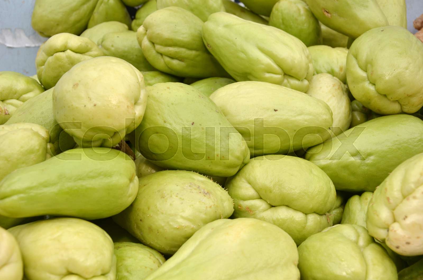 Pile of chayote fruits | Stock image | Colourbox
