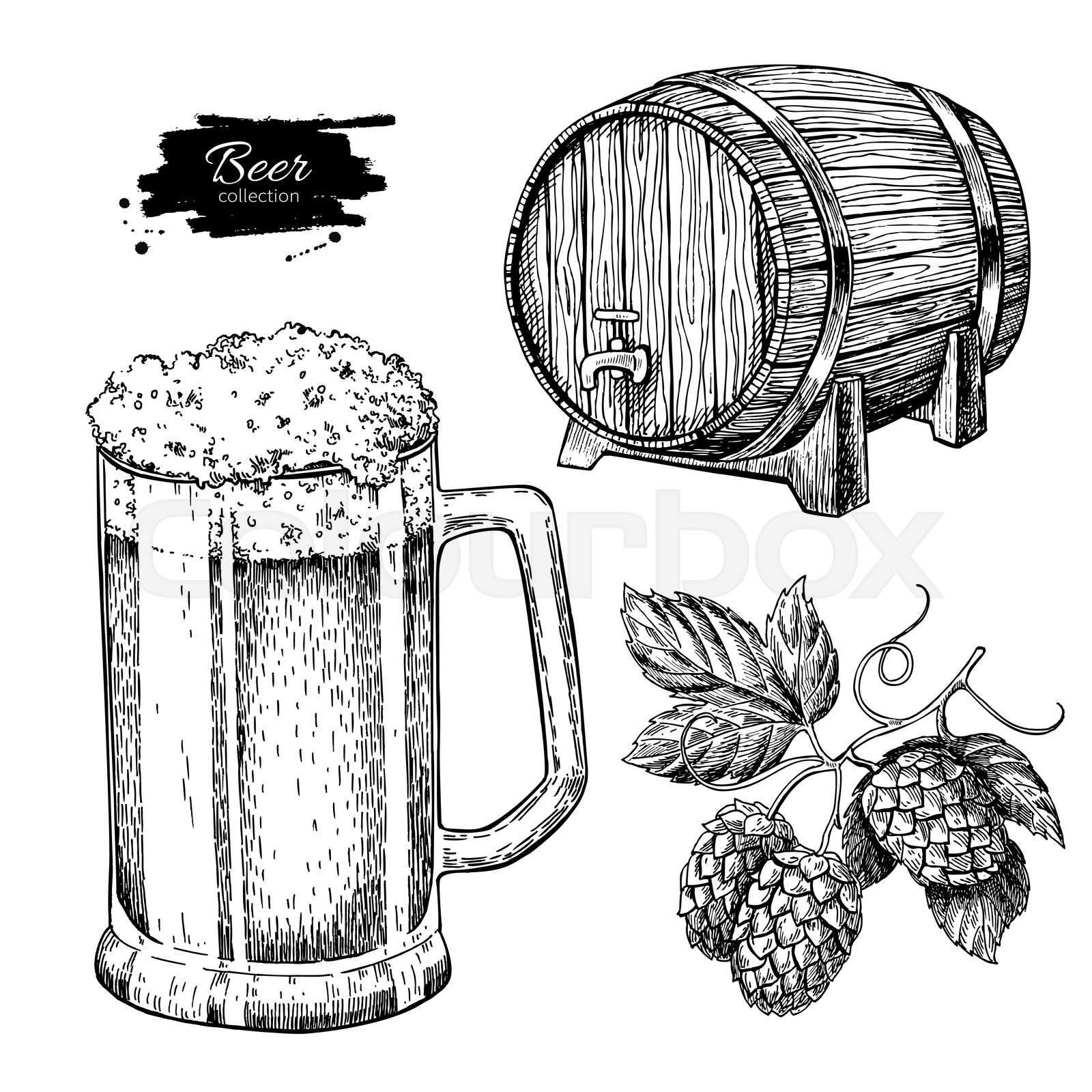 Beer vector set. Alcohol beverage hand drawn illustration. Craft Beer ...