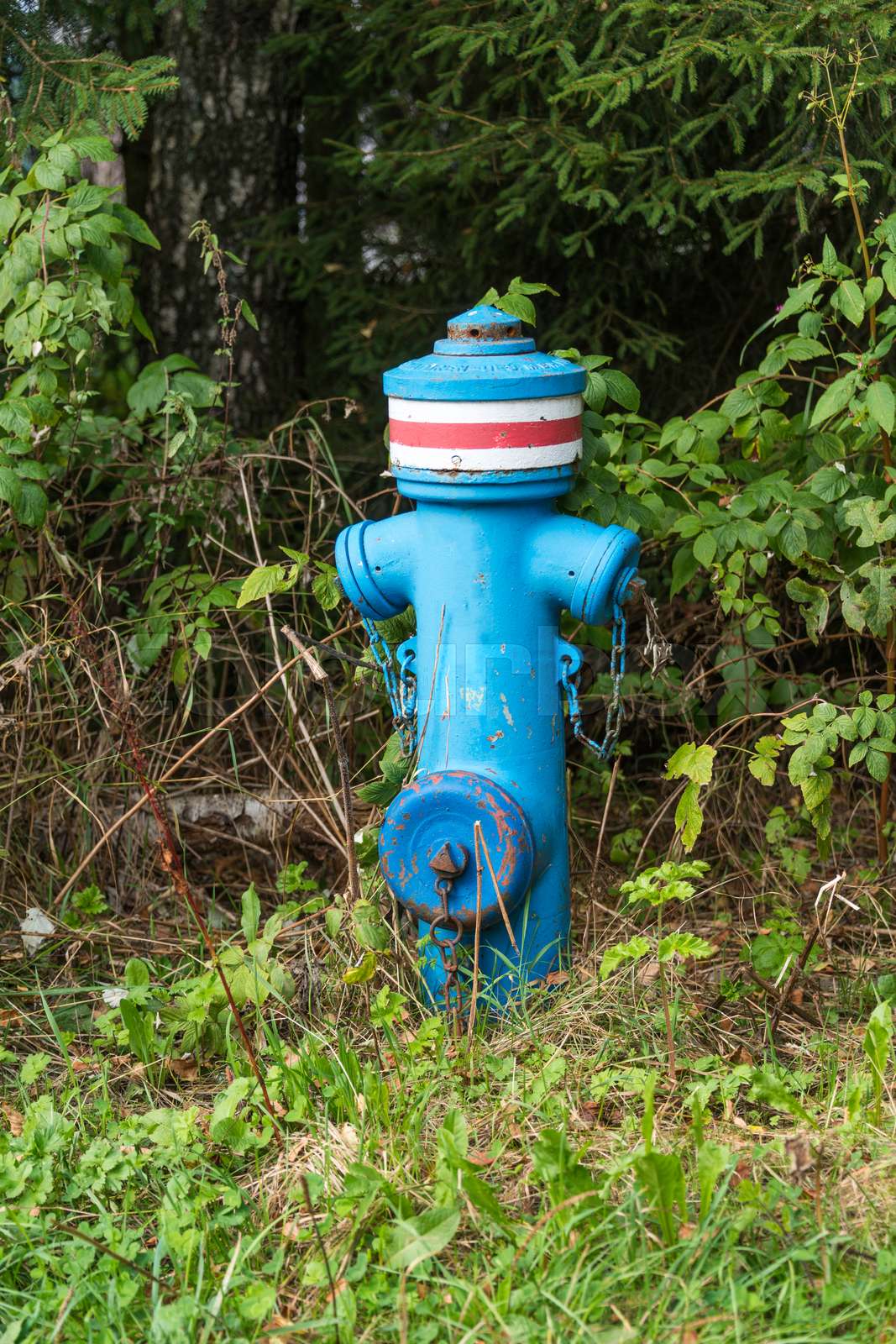 blue fire hydrant | Stock image | Colourbox