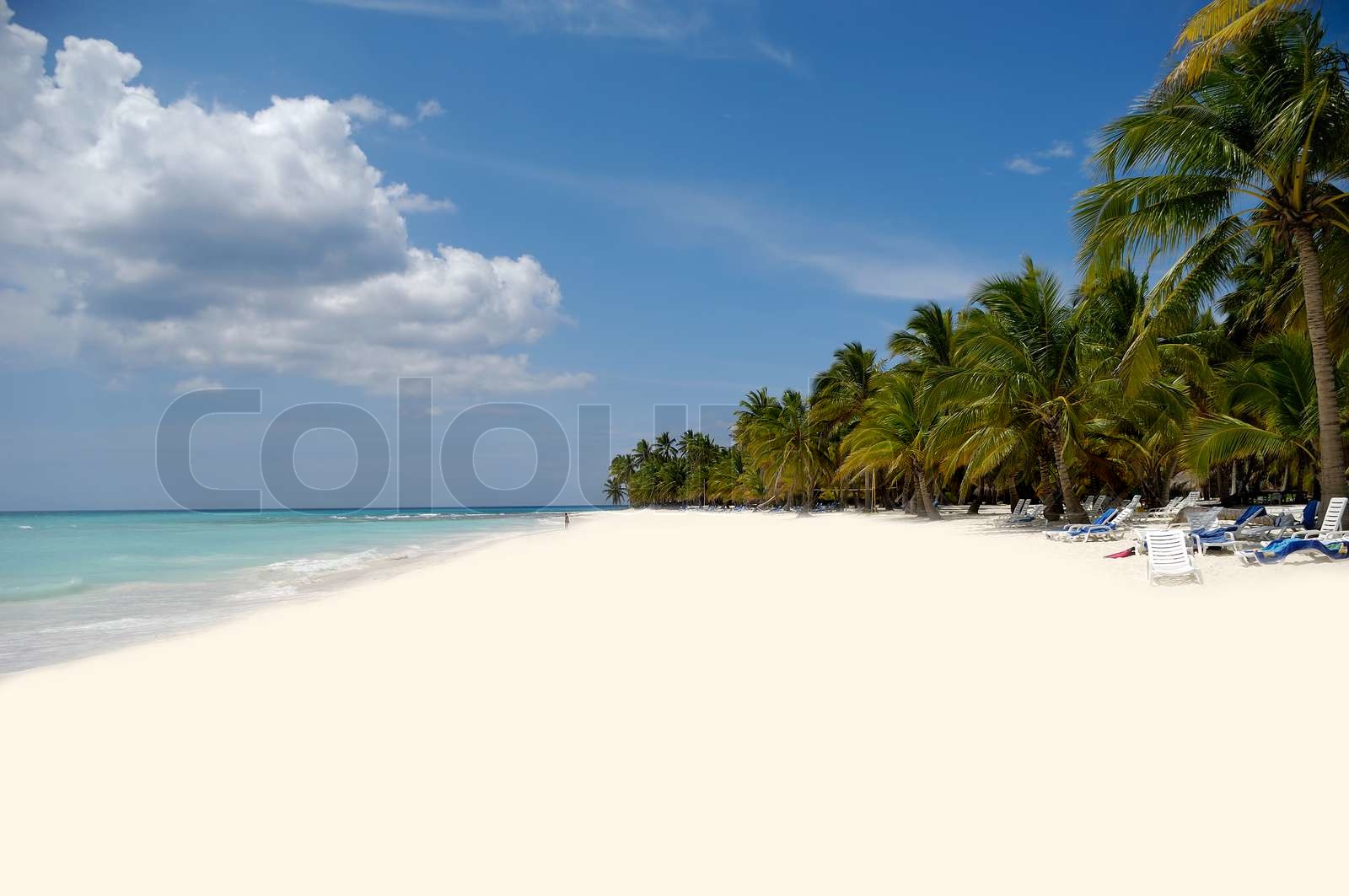 Eksotisk strand med hvidt sand og palmer | Stock foto | Colourbox