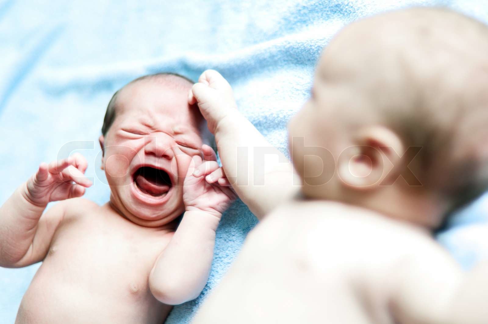 Two newborn babies lie on the blue sheets and fighting | Stock image ...