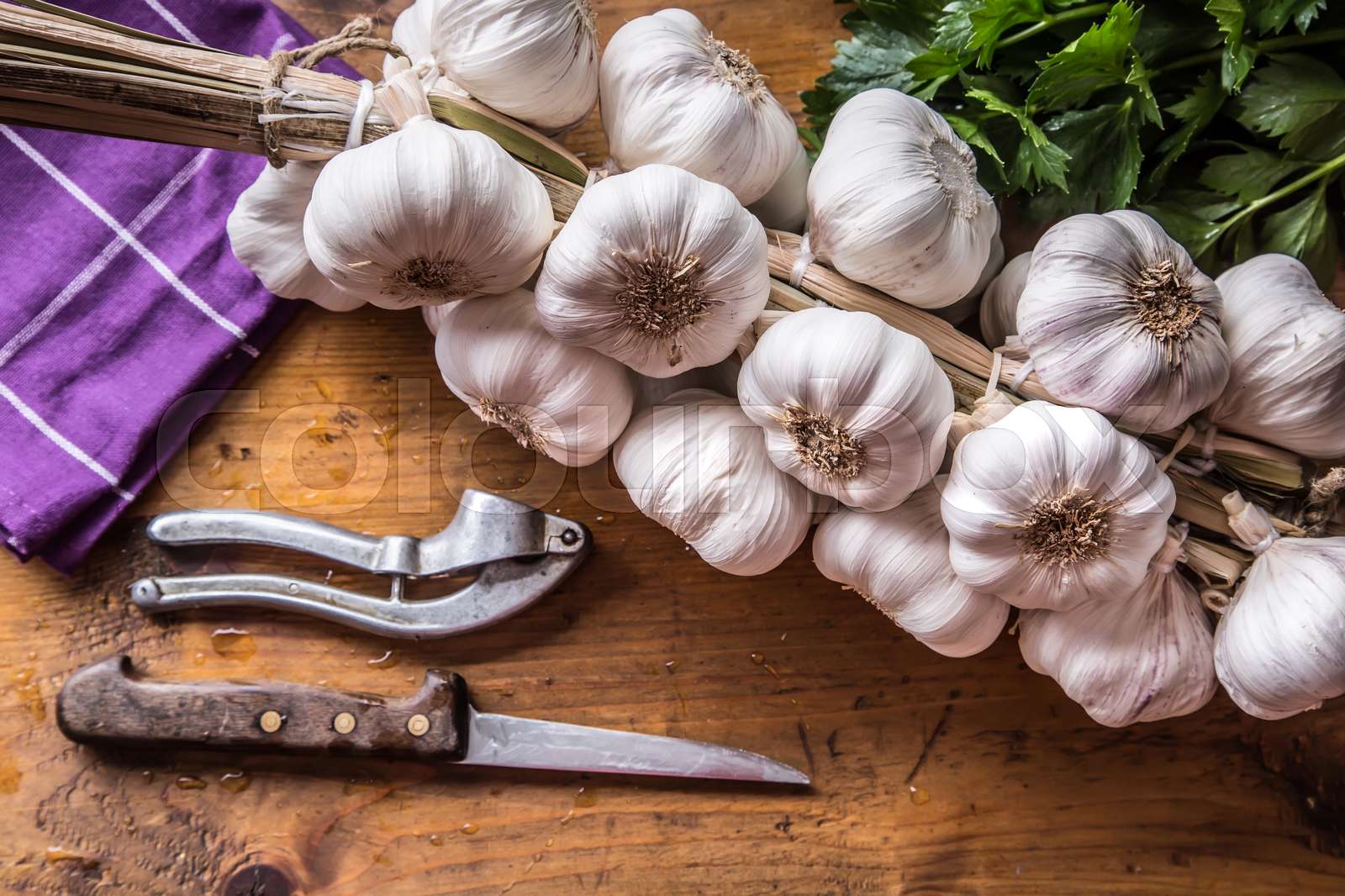 Garlic. Bunch of fresh garlic with celery herbs | Stock image | Colourbox