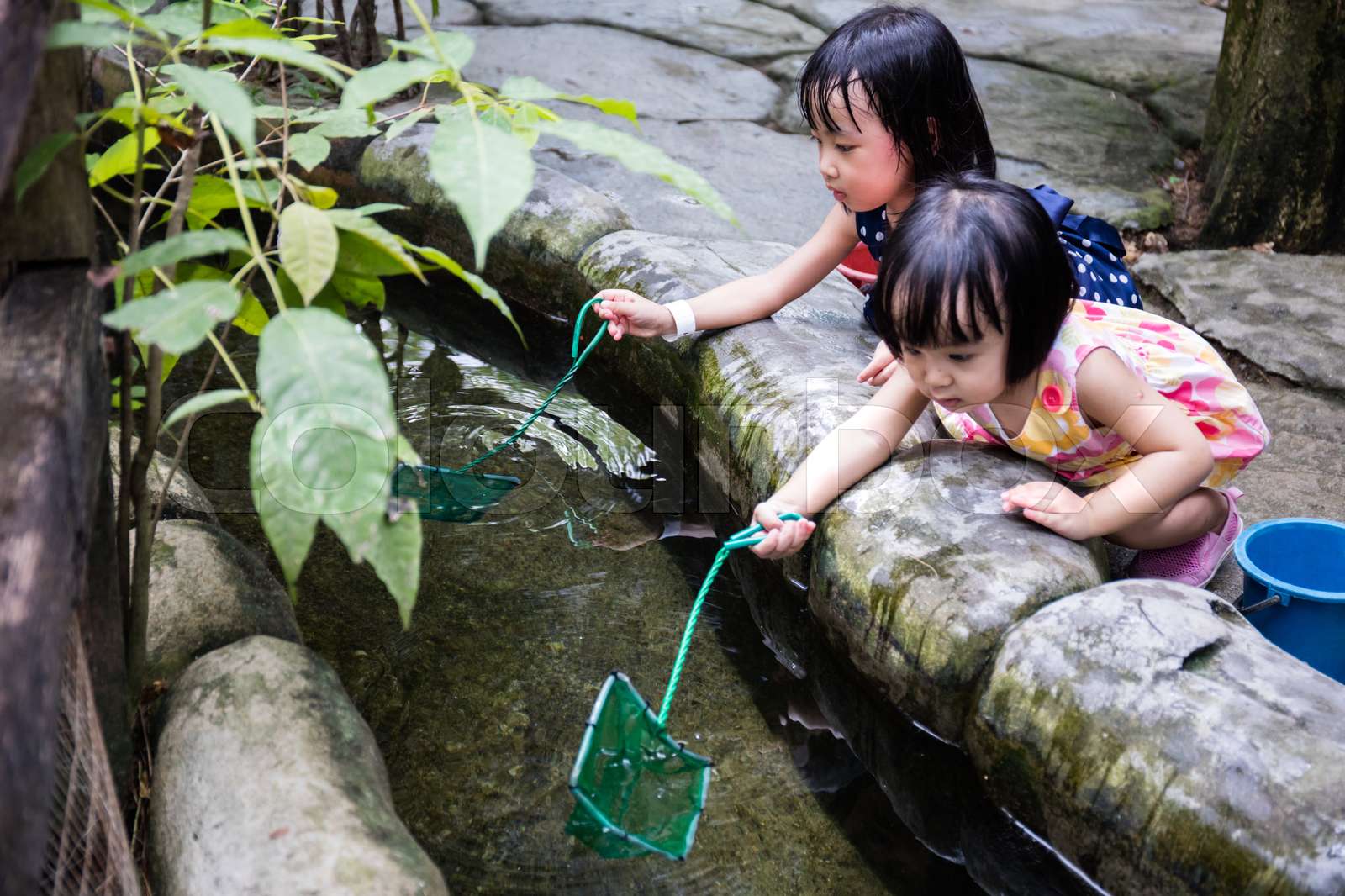 Asian Chinese Little Girls Fishing With Scoop Net At Pond | Stock image ...