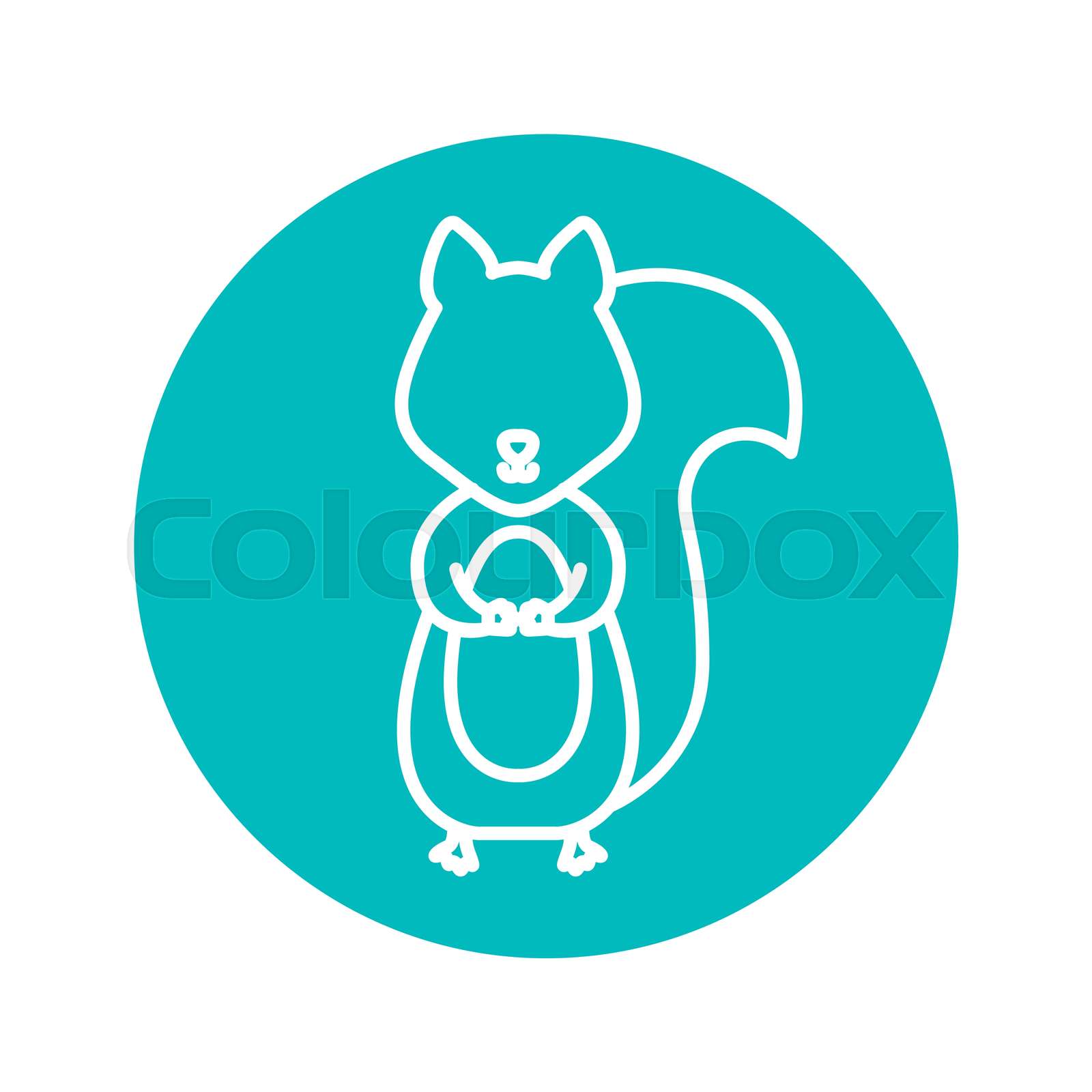 Circle shape with squirrel wild animal | Stock vector | Colourbox