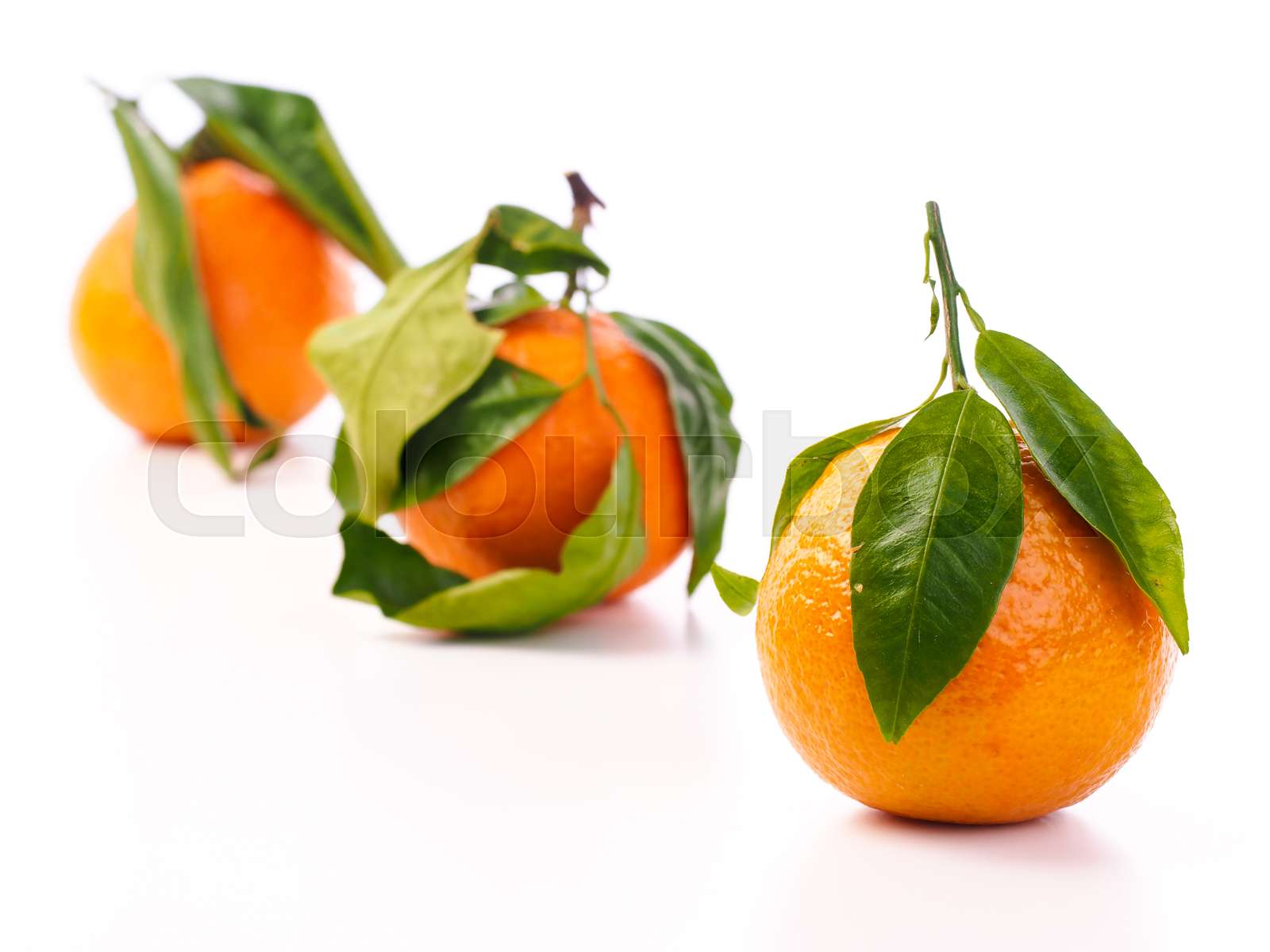 Oranges with leaves | Stock image | Colourbox