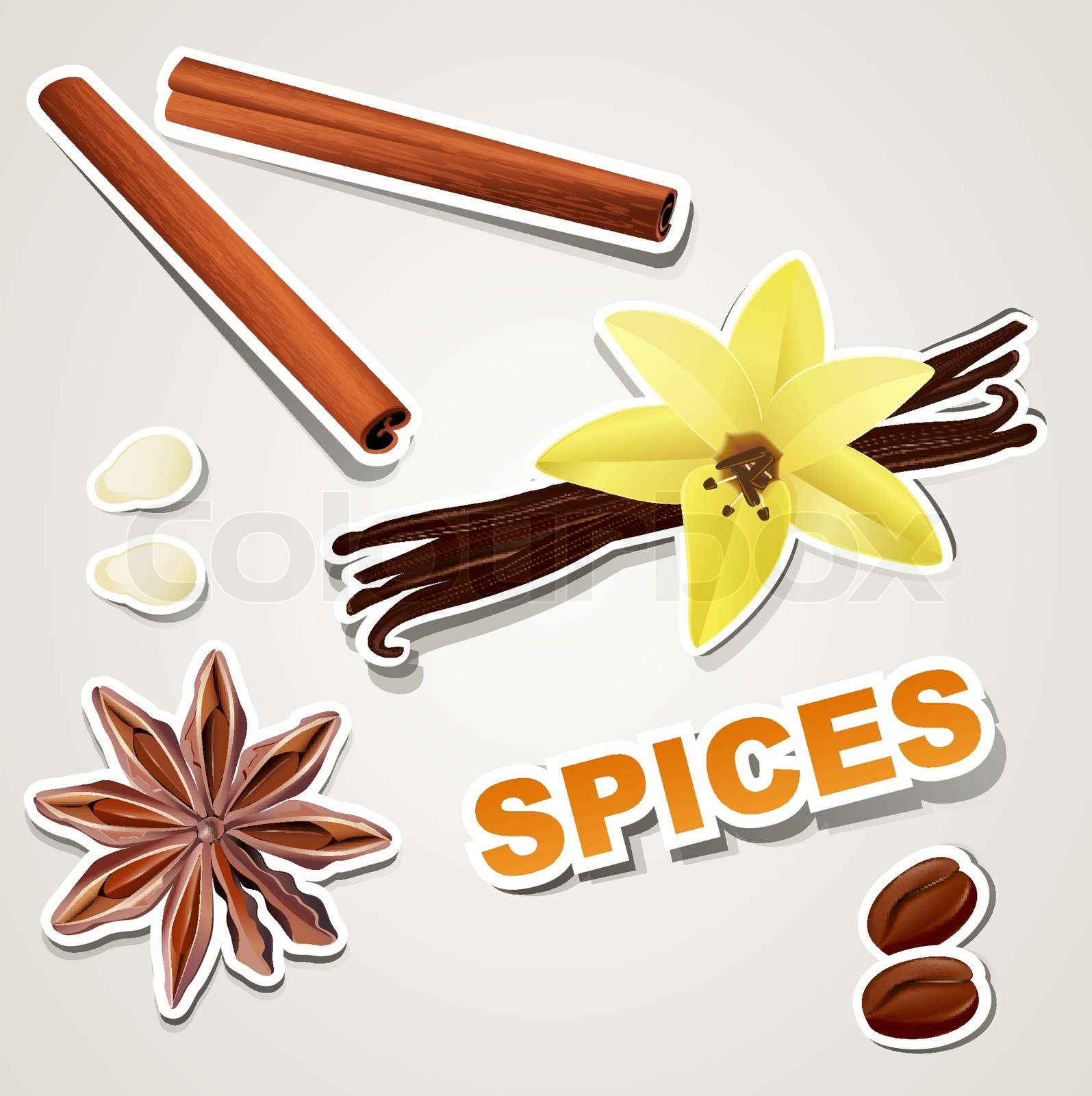 vector set stikers : spice | Stock vector | Colourbox