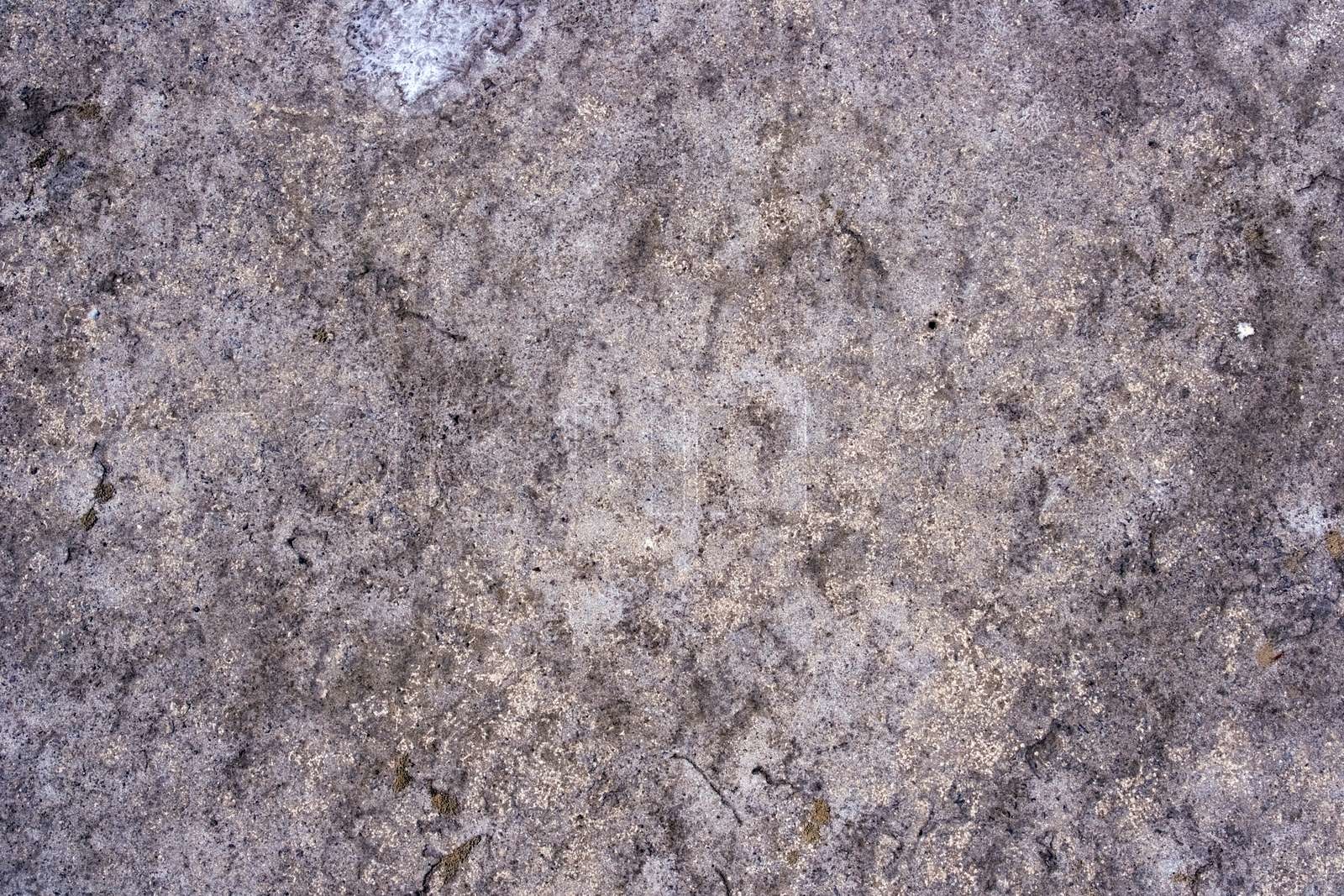 a high resolution dry ground texture | Stock image | Colourbox