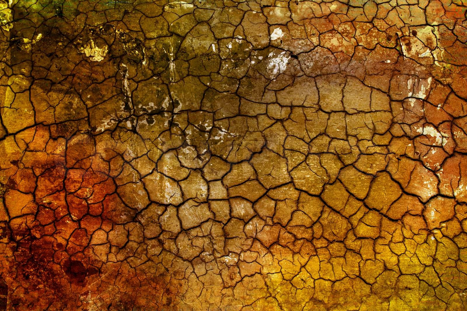 a high resolution dry ground texture | Stock image | Colourbox