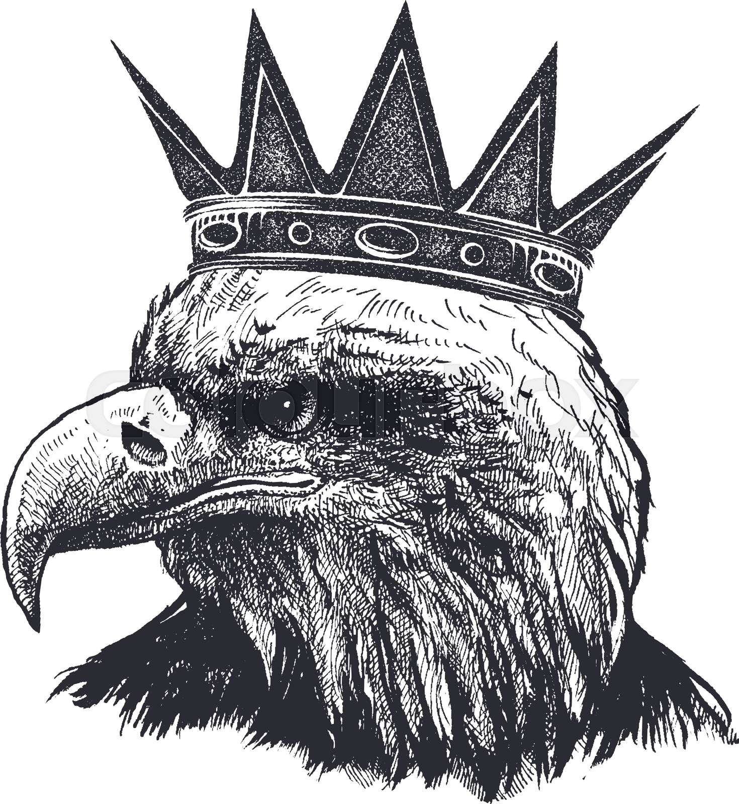Detailed hand drawn eagle | Stock vector | Colourbox