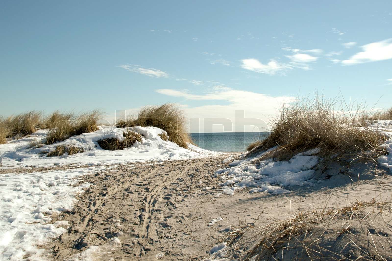 Vinter billede fra stranden | Stock foto | Colourbox