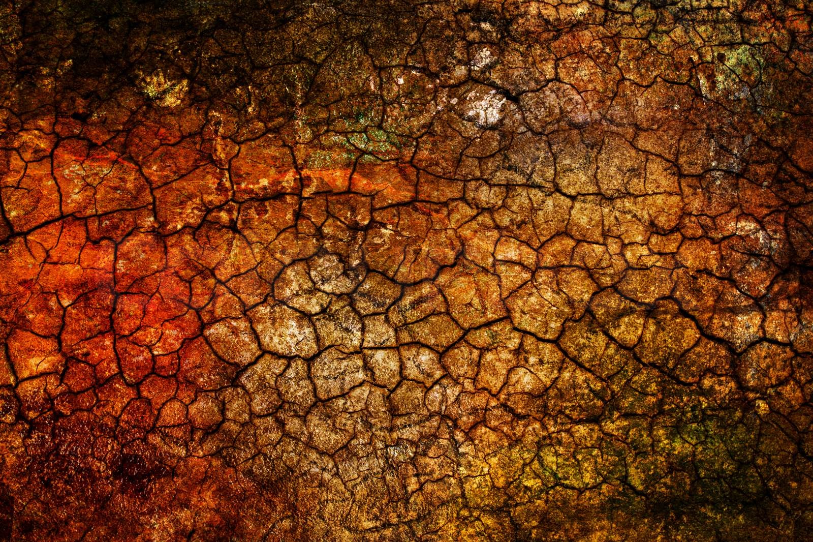 a high resolution dry ground texture | Stock image | Colourbox