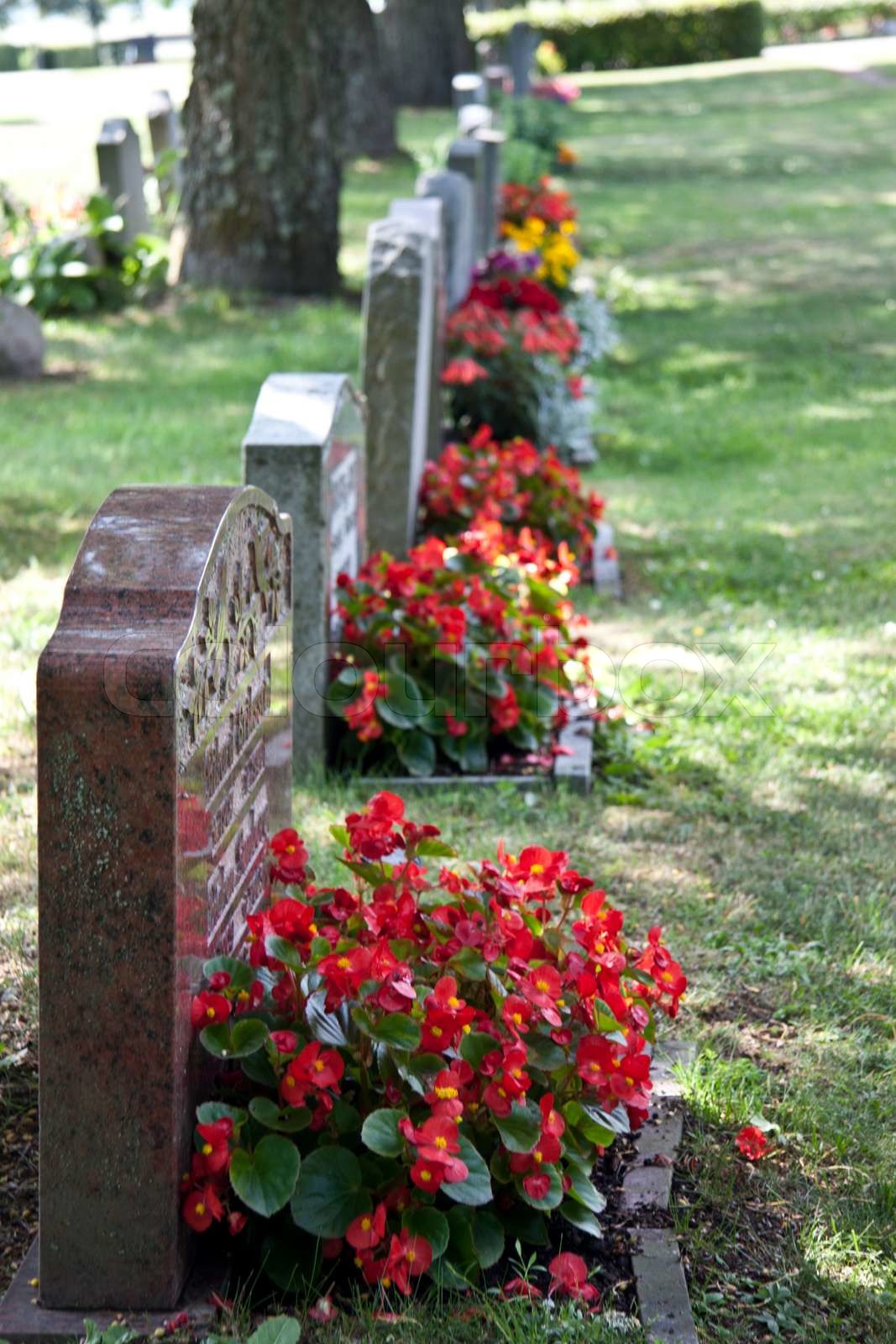 Gravestone with flowers | Stock image | Colourbox