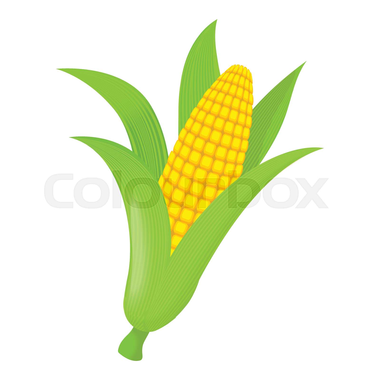 Corn icon, cartoon style | Stock vector | Colourbox