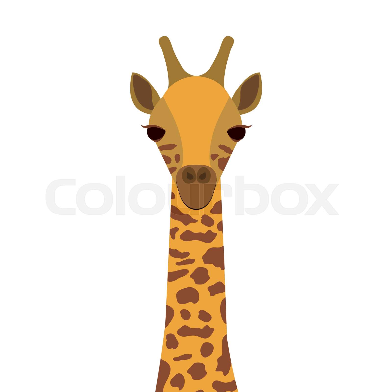 giraffe wild animal | Stock vector | Colourbox