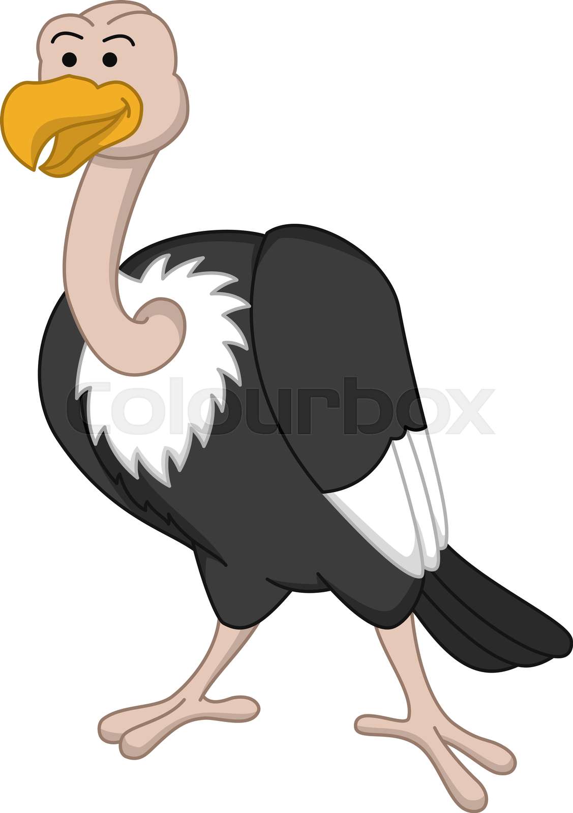 Condor bird | Stock vector | Colourbox