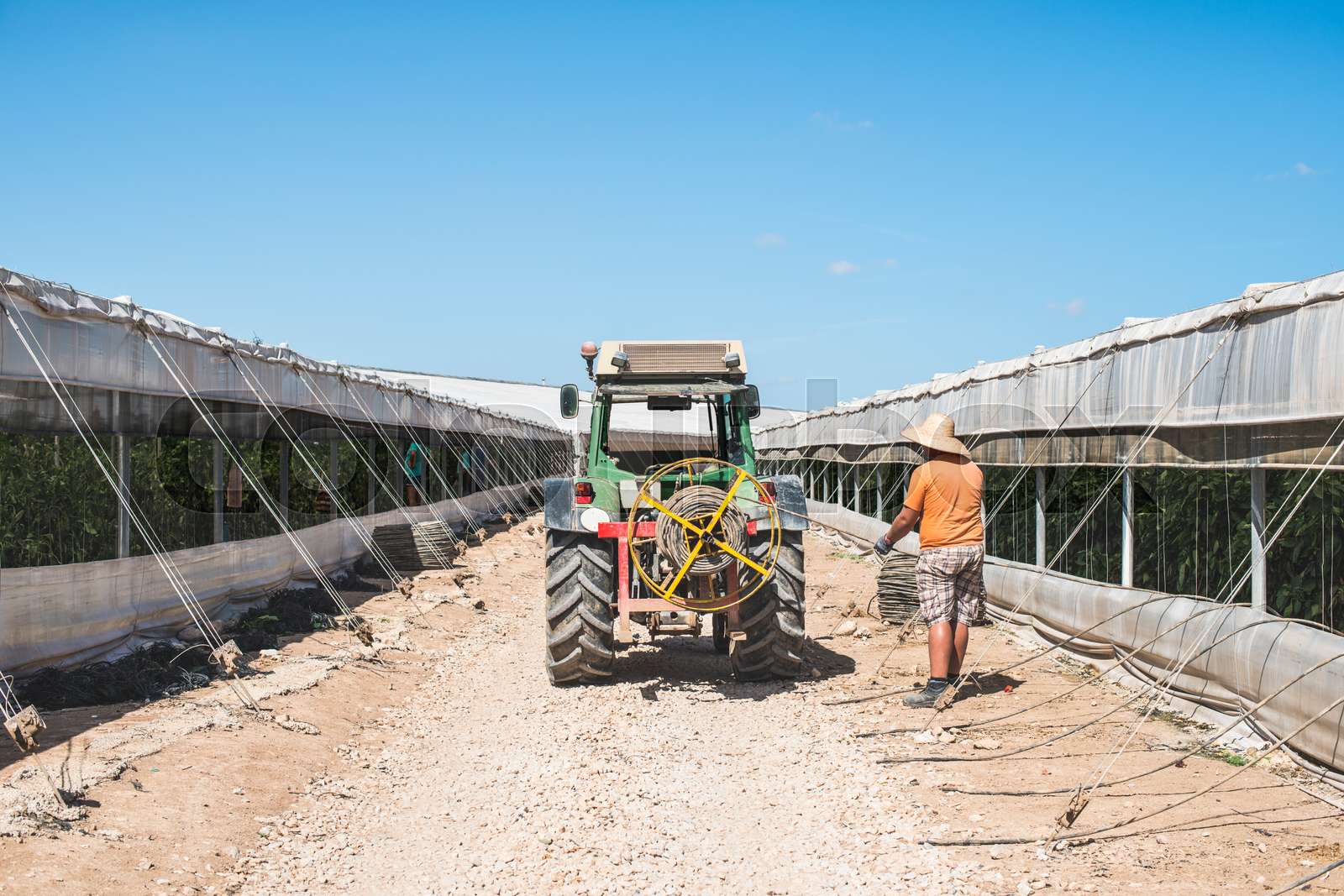 Tractor between greenhouses | Stock image | Colourbox